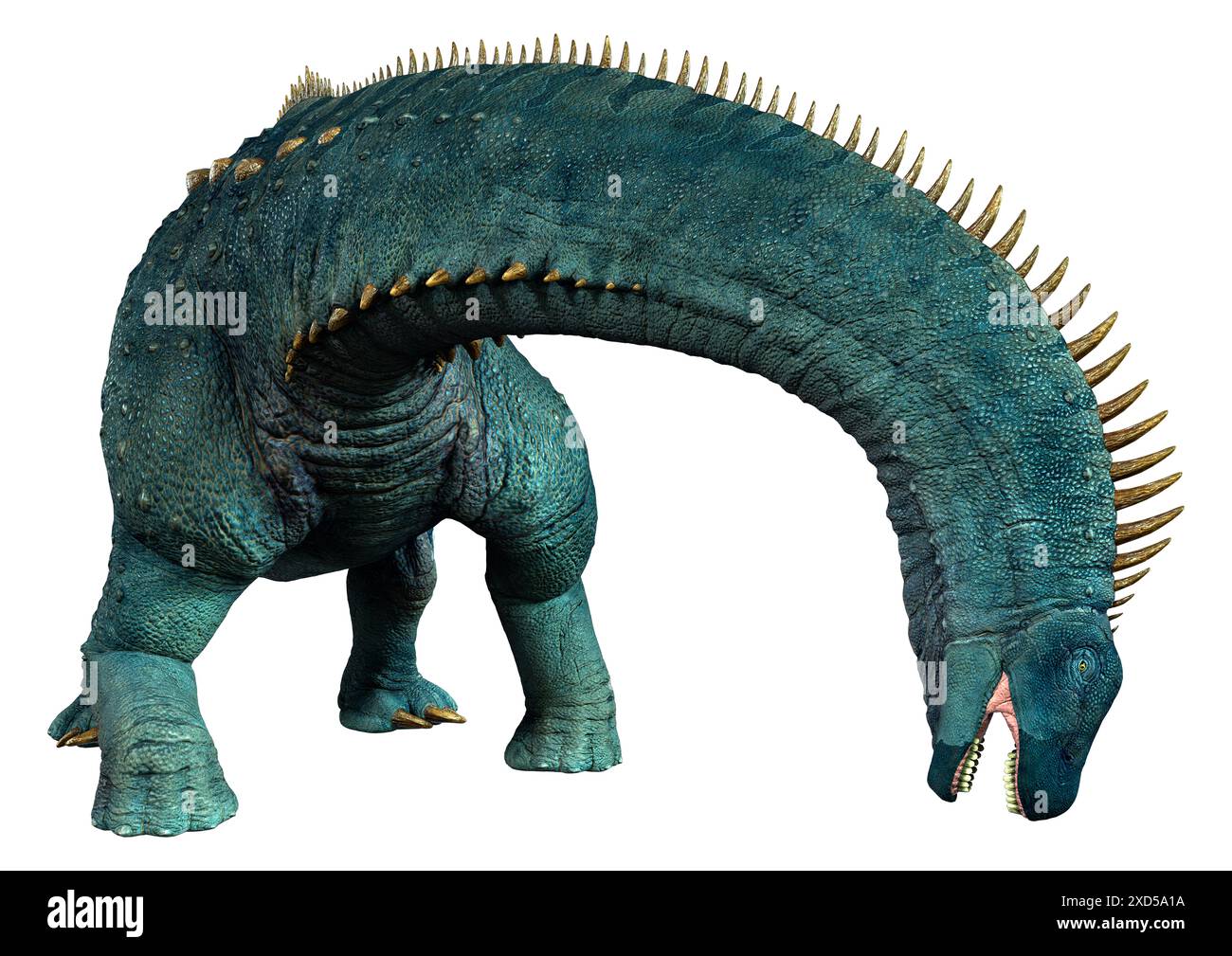 3D rendering of a dinosaur Alamosaurus isolated on white background ...