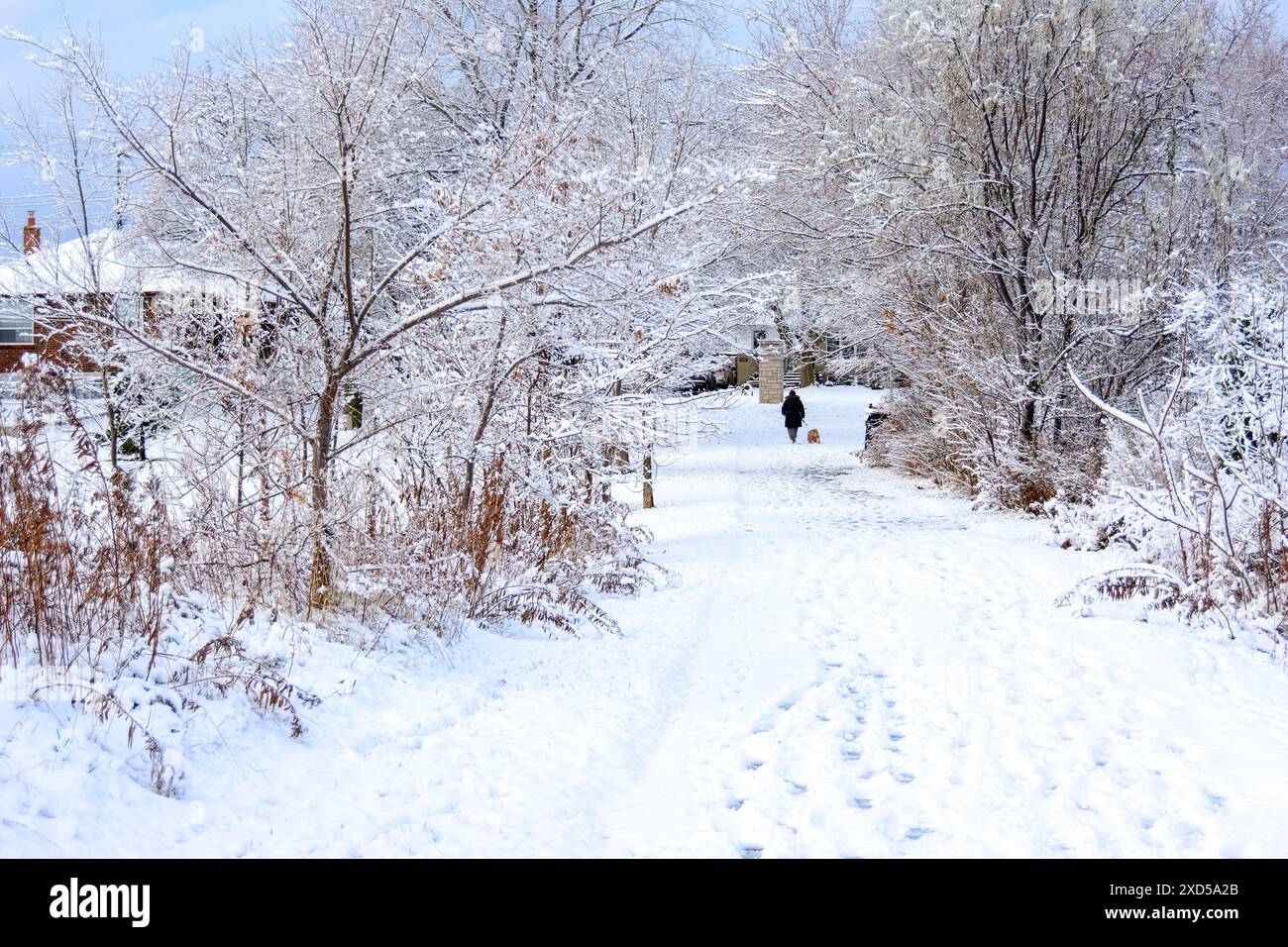 Snow in a public park, Toronto, Canada Stock Photo - Alamy