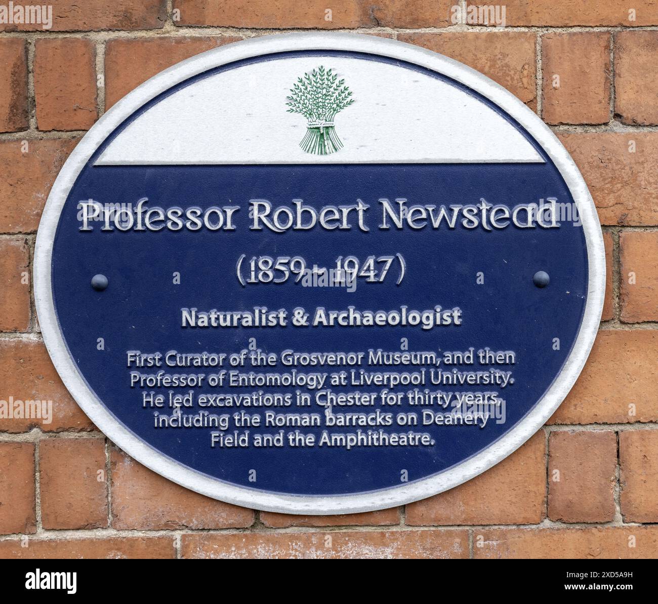 Heritage blue plaque at Chester in memorial of Professor Robert ...