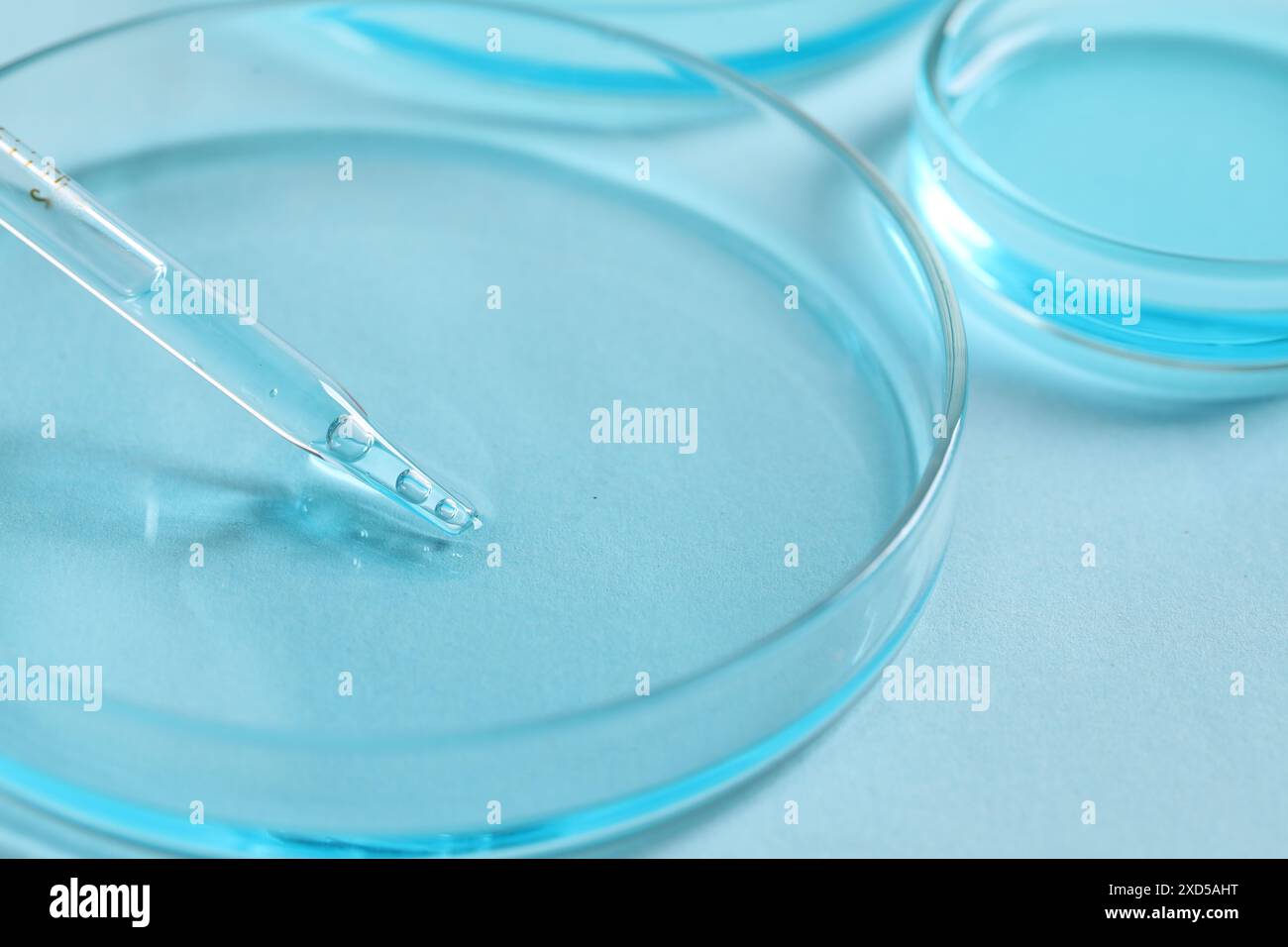 Dripping liquid from pipette into petri dish at light blue table ...