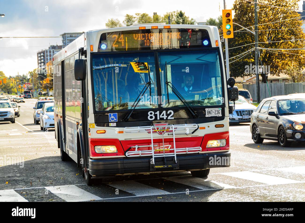 TTC bus driving in traffic, Toronto, Canada Stock Photo - Alamy