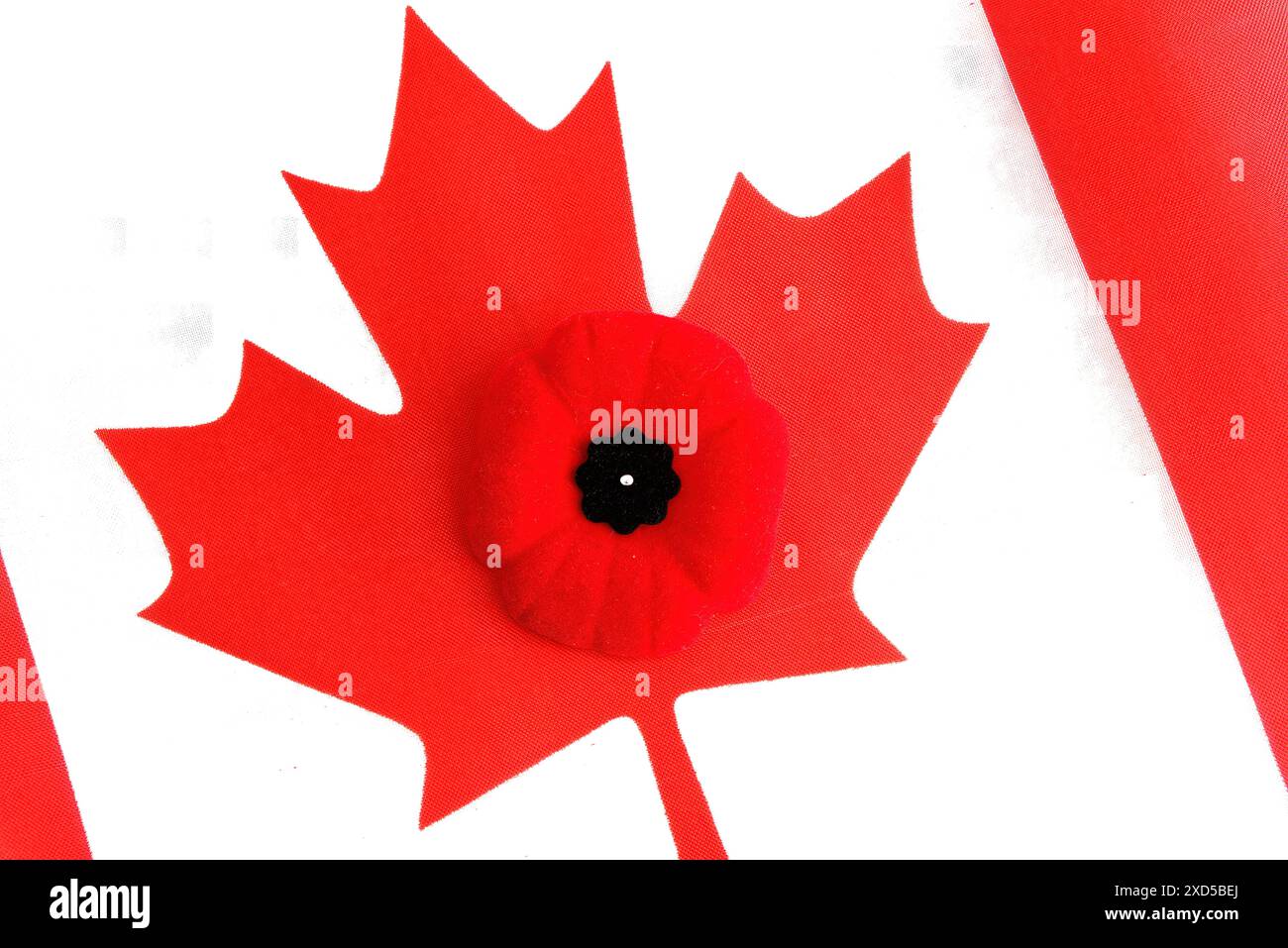 Remembrance poppy over Canadian flag, concept Stock Photo - Alamy
