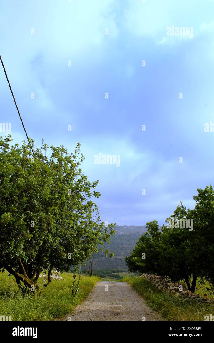 The beauty of the sky in a quite countryside in the north of Jordan ...