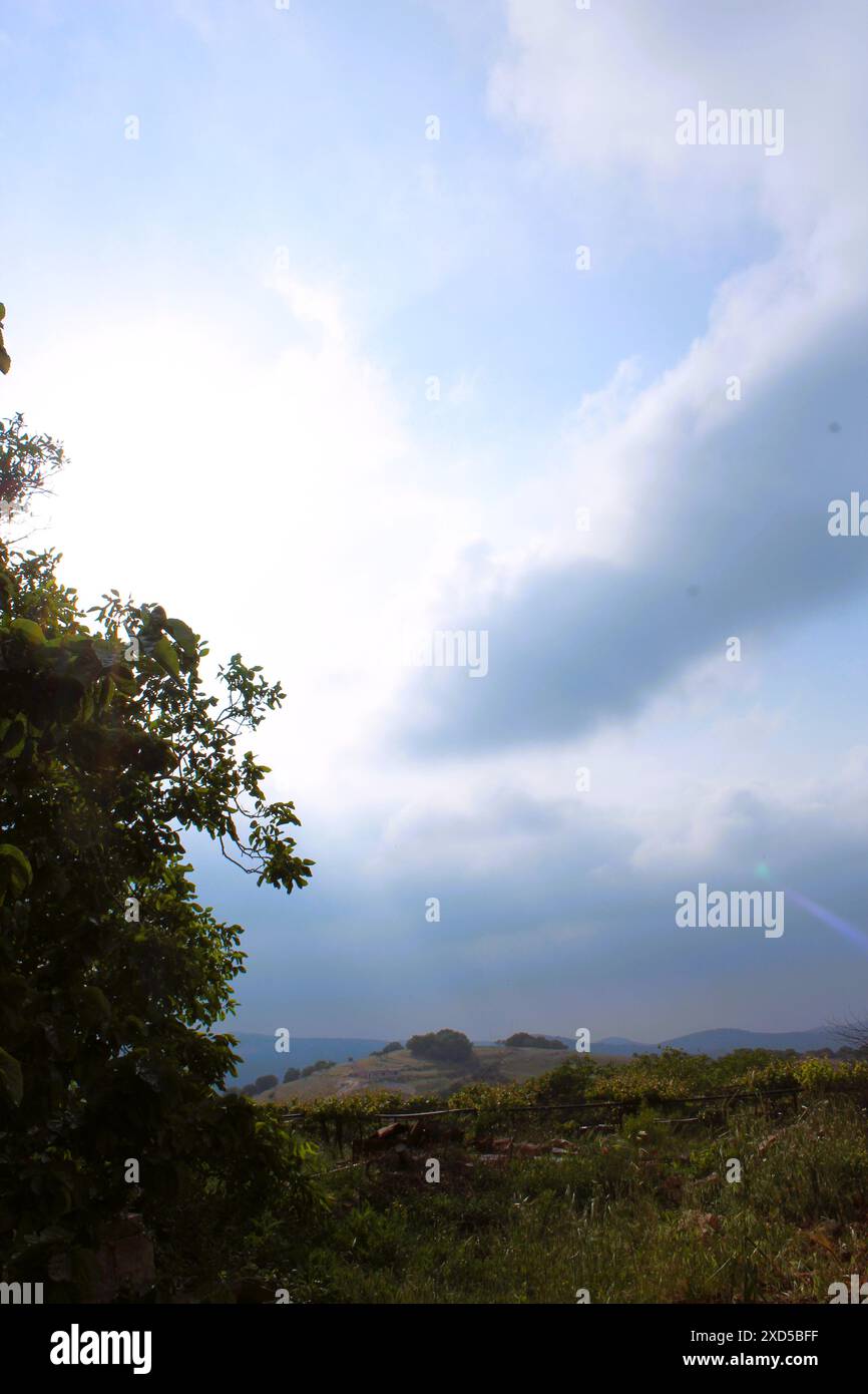 The beauty of the sky in a quite countryside in the north of Jordan ...