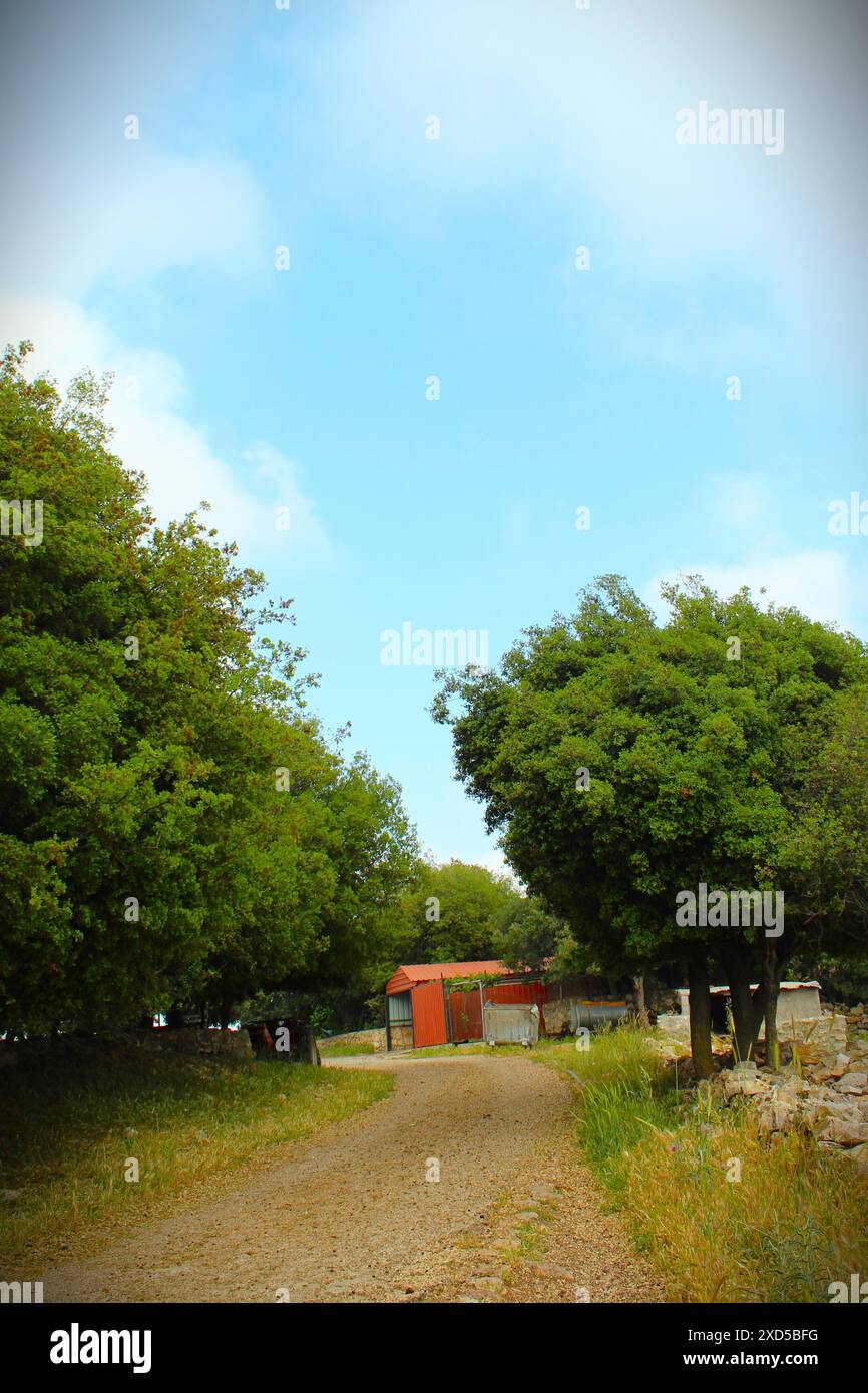 The beauty of the sky in a quite countryside in the north of Jordan ...
