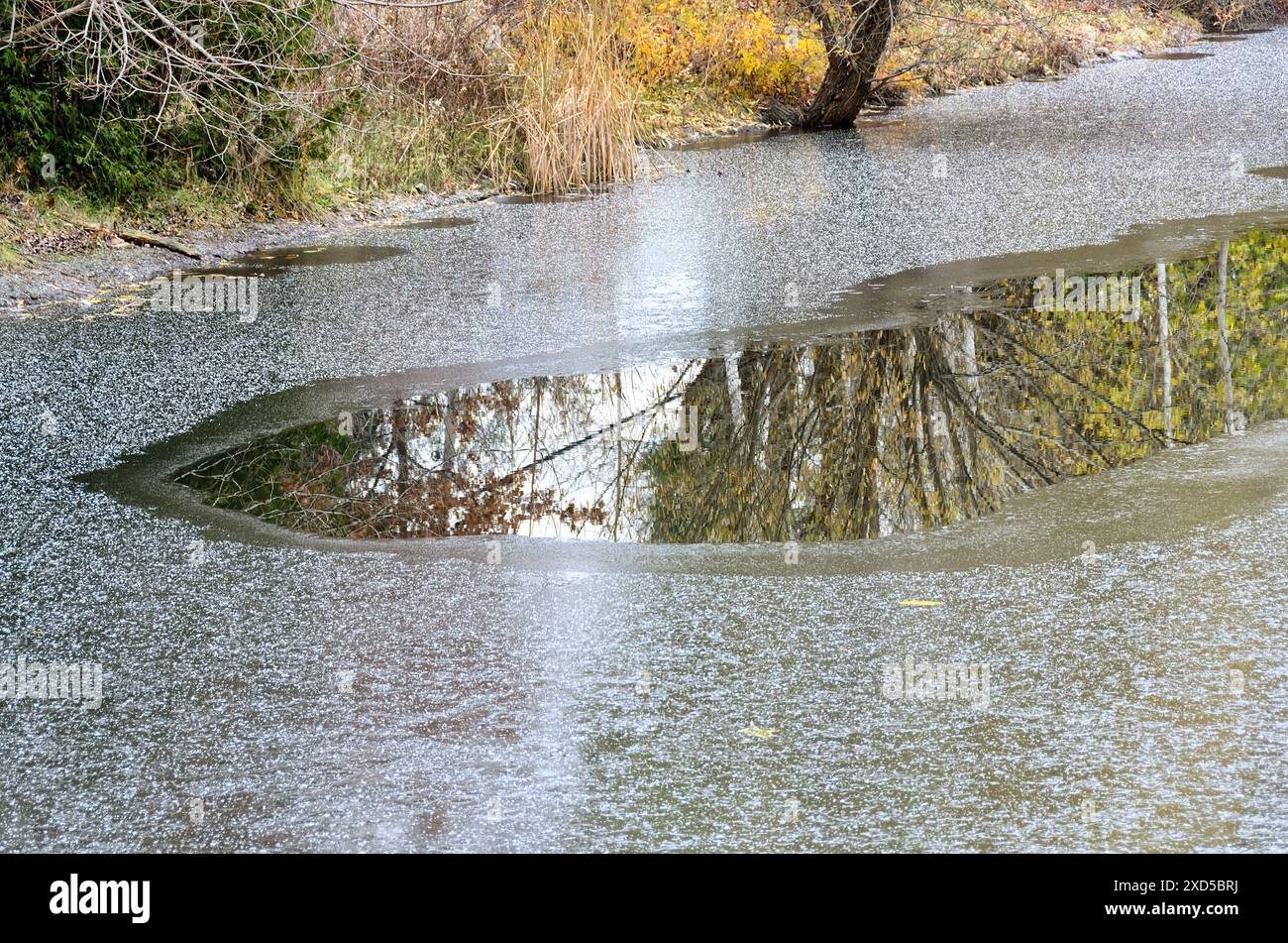 Partially frozen water hi-res stock photography and images - Alamy