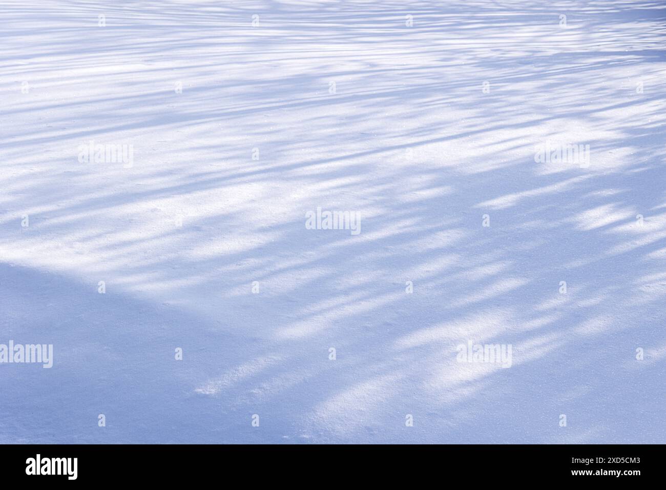 winter shadows on flat snow, abstract nature texture, light and shade ...