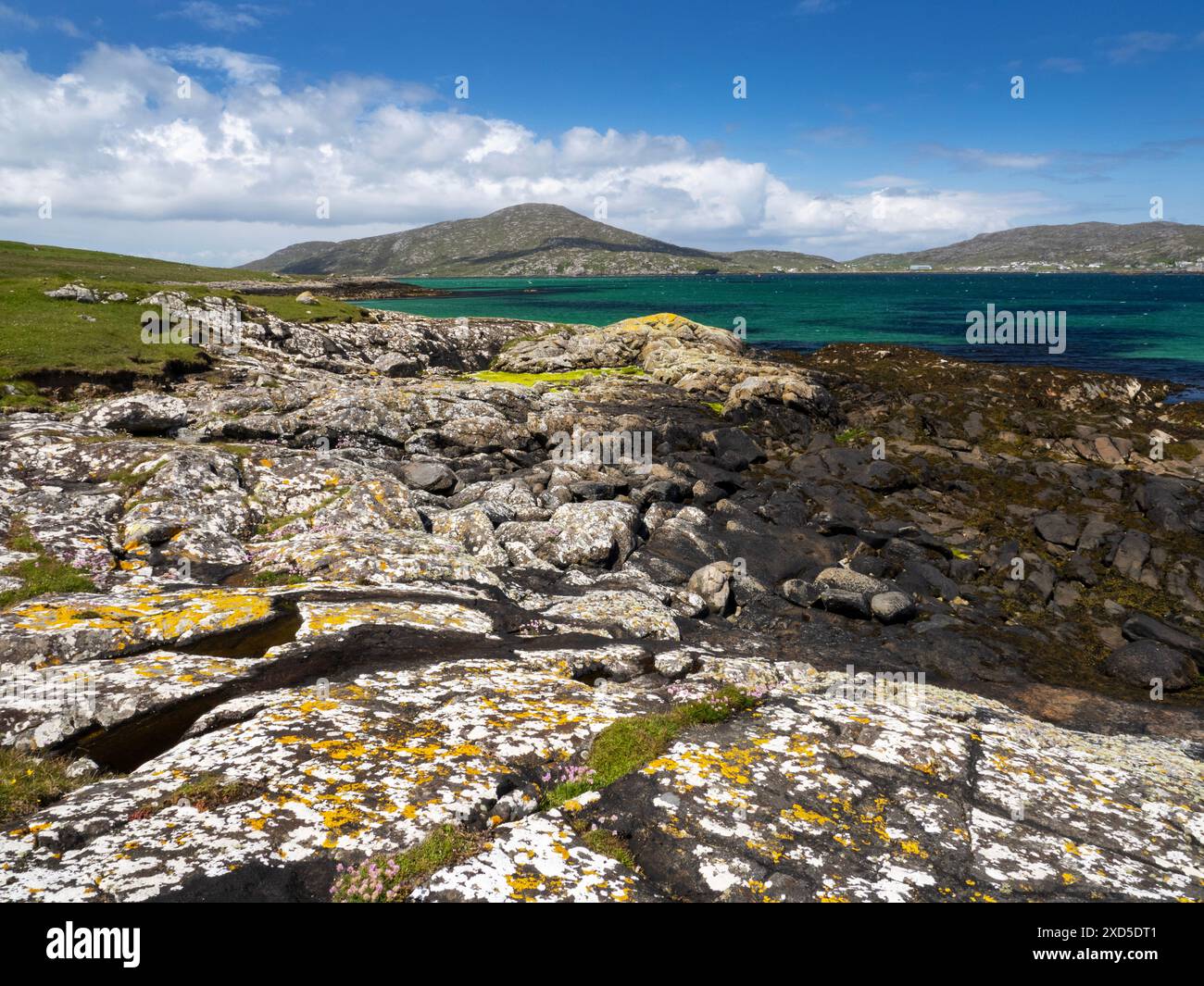 Lichen on rocks a beach on Vatersay, Outer Hebrides, Scotland, UK Stock ...