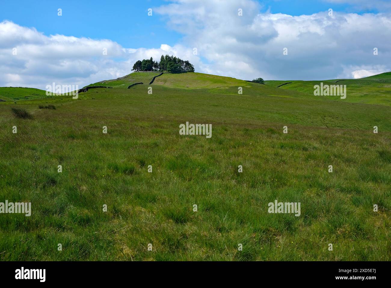 Caryn hi-res stock photography and images - Alamy