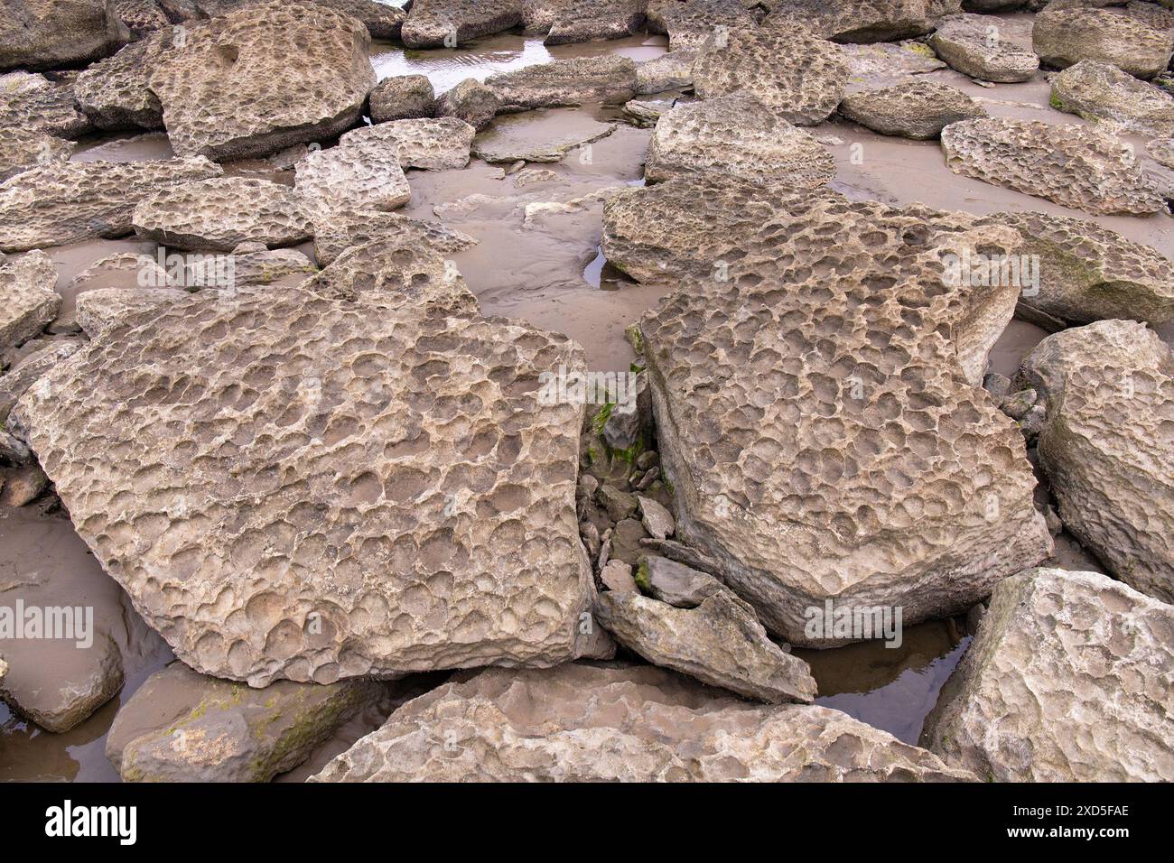 Beautiful structure of the rocks of the Caspian Sea. Baku. Azerbaijan ...