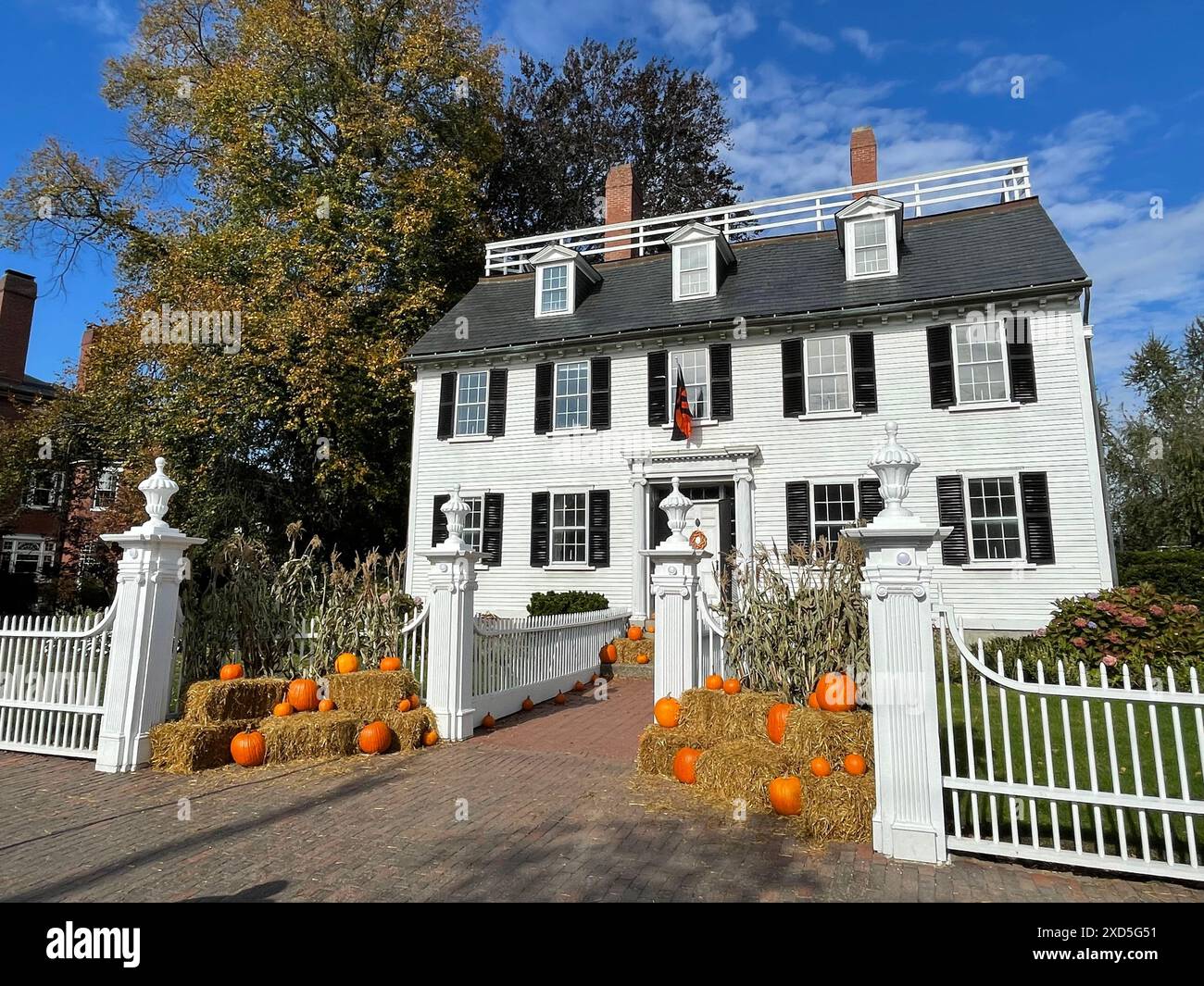 Hocus pocus movie hi-res stock photography and images - Alamy