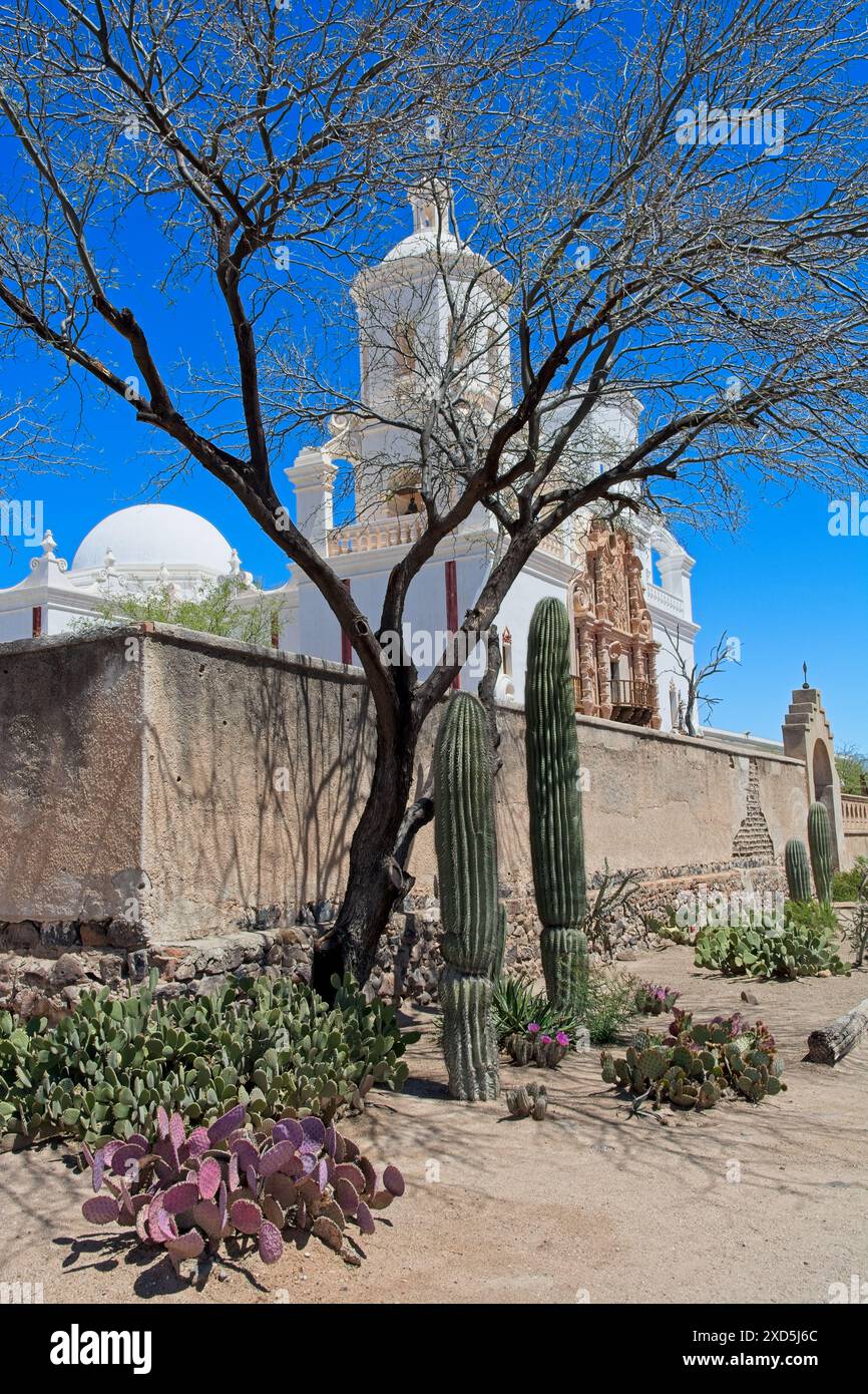 Cactus gardens outside adobe courtyard walls around San Xavier del Bac ...