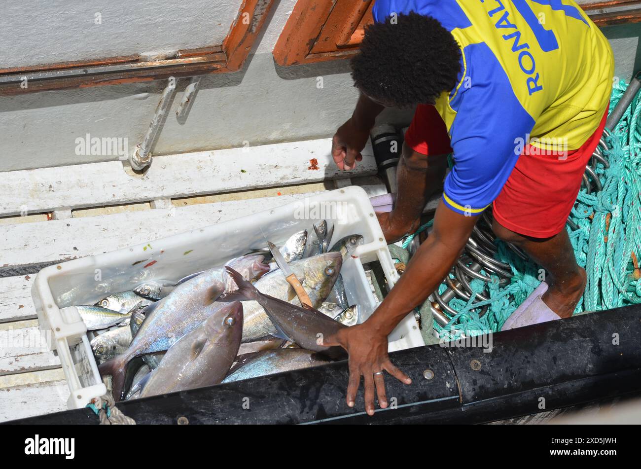Fishing vessels and fishing gear at the harbour of Praia, Cabo Verde’s ...