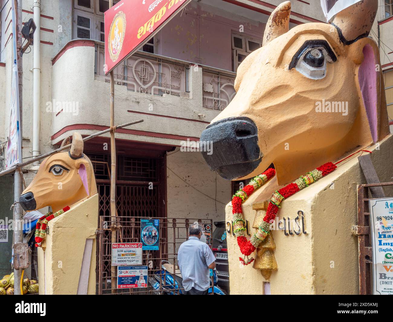 06 15 2024 Vintage Old Art Deco stucco work Cow Had on the compound ...