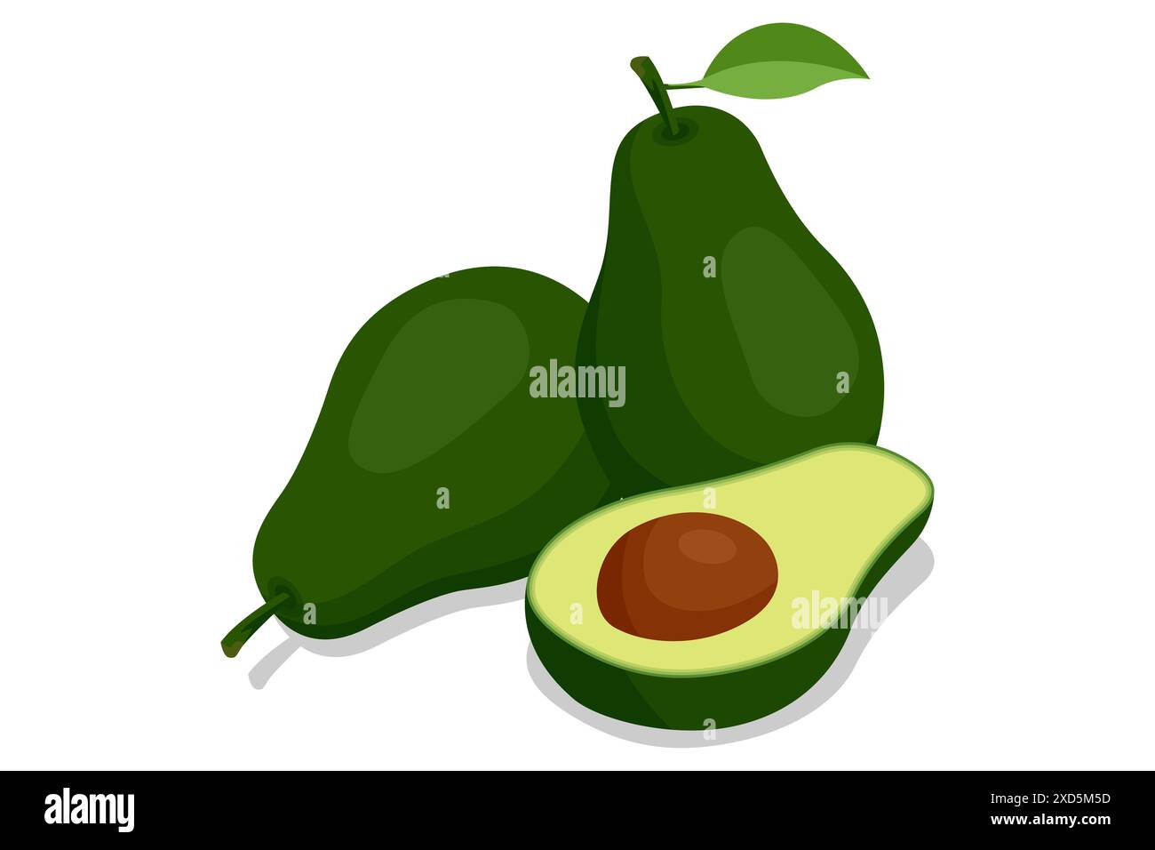Isometric Avocado cut in half isolated on white. Avocado is a creamy ...