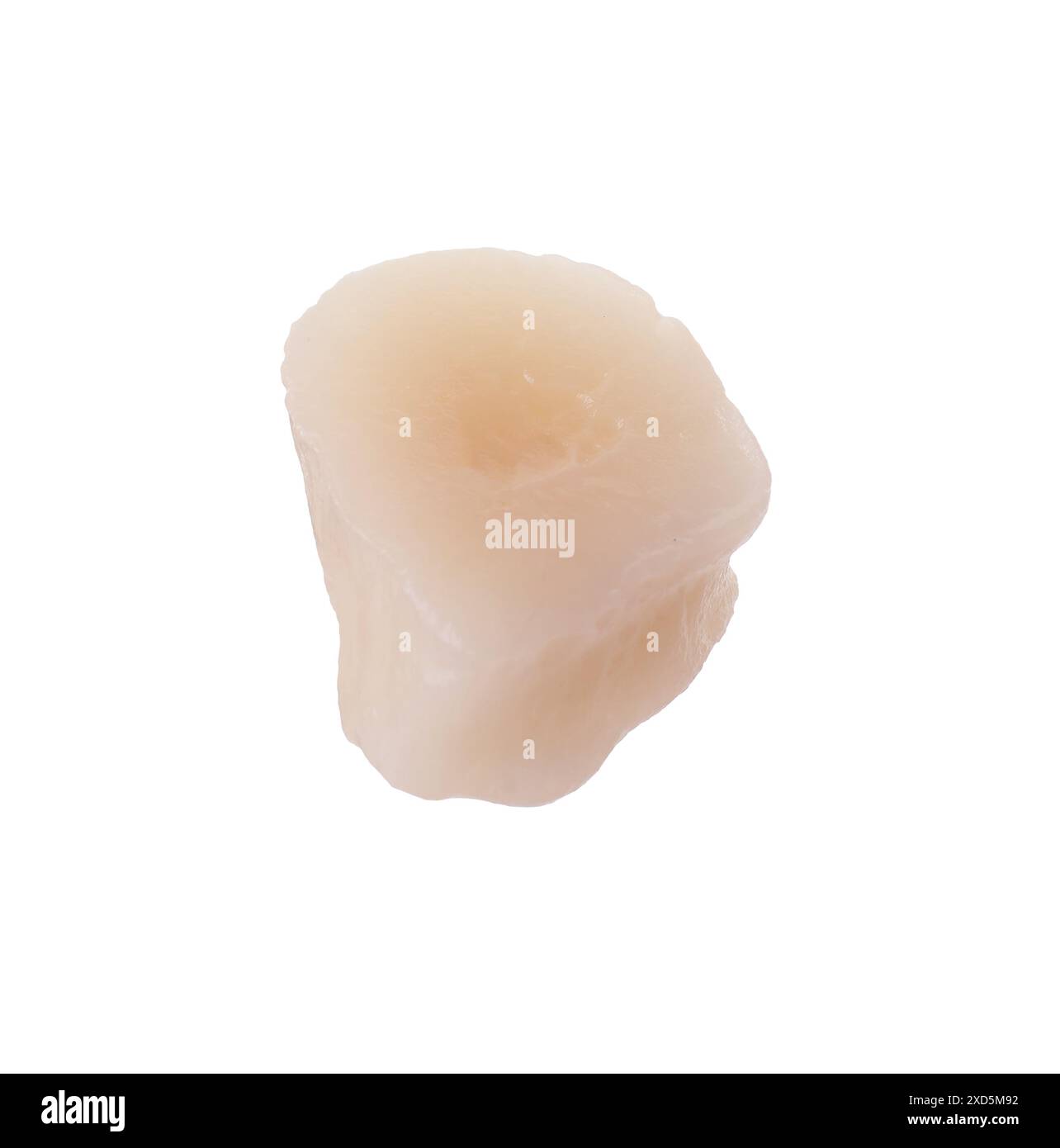 Raw scallop isolated on hi-res stock photography and images - Alamy
