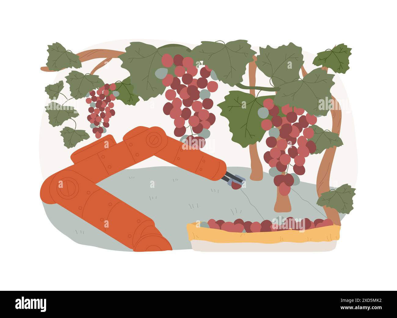 Harvesting and picking robots isolated cartoon vector illustrations ...