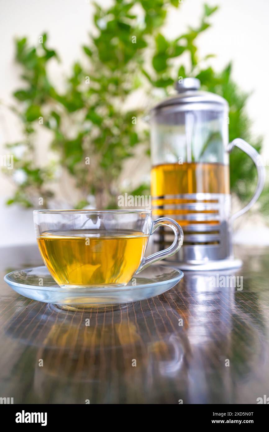 Green Tea in a Glass Tea Cup and Saucer with French Press teapot on ...