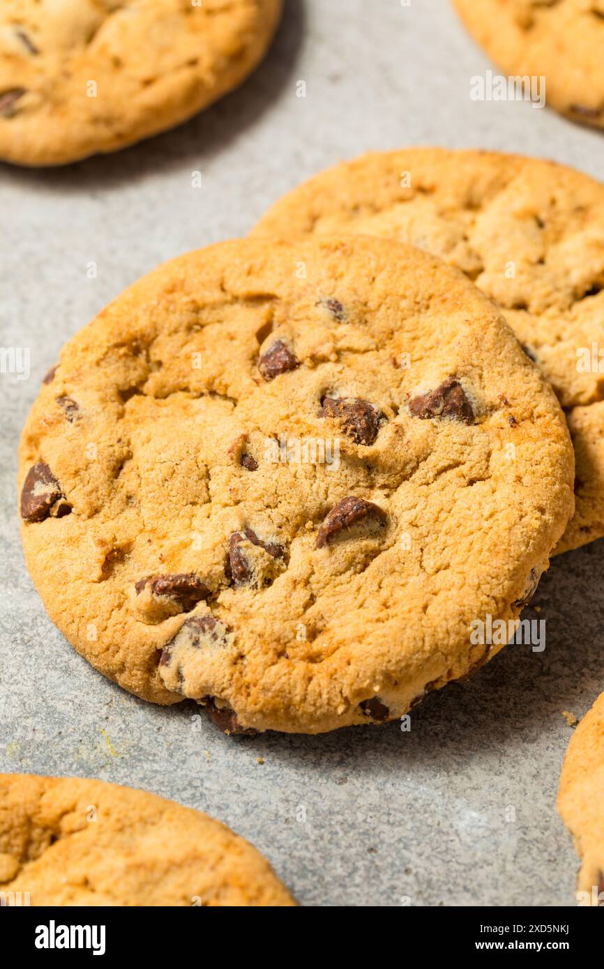 Warm Gooey Chocolate Chip Cookies Ready to Eat Stock Photo - Alamy