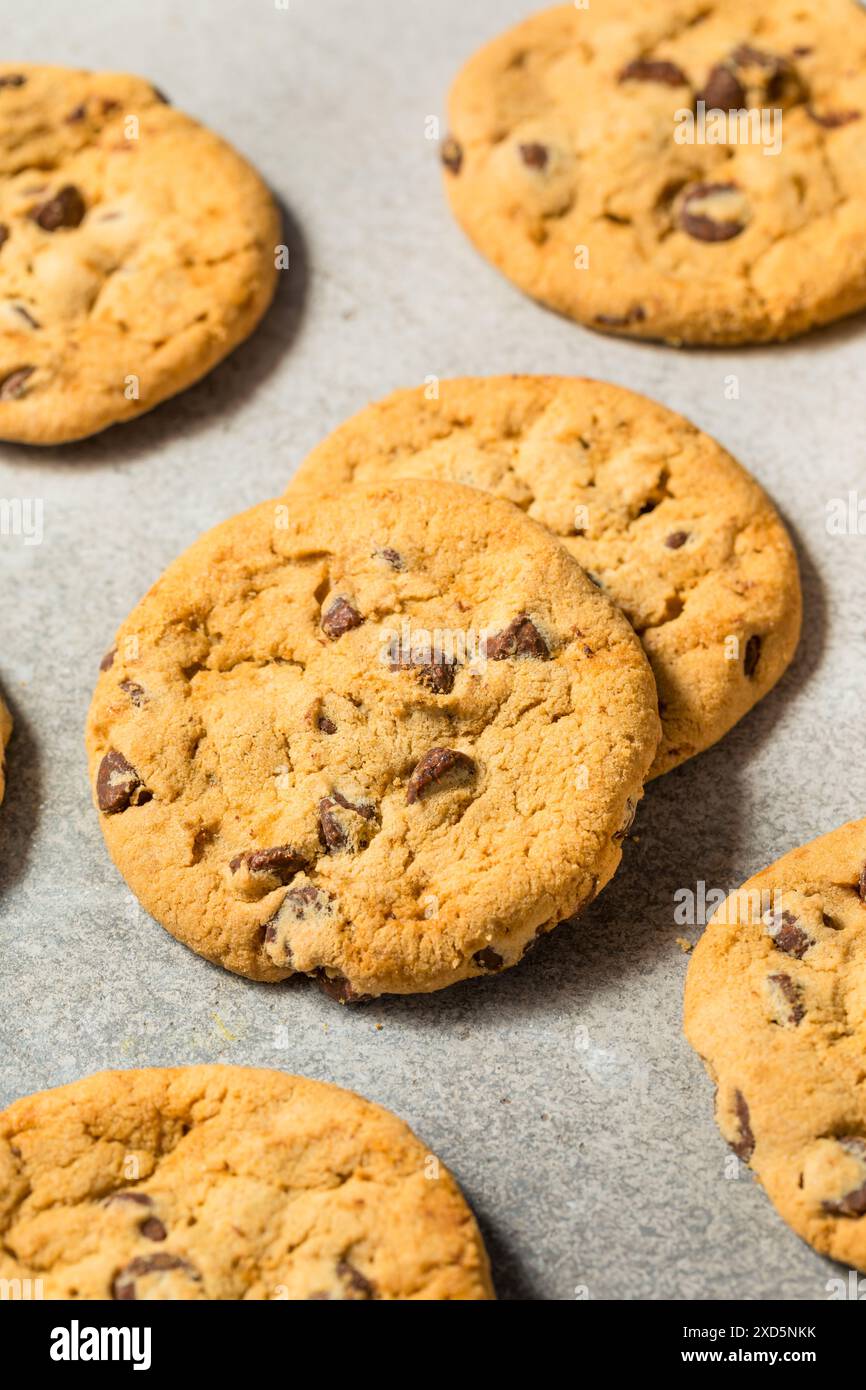 Warm Gooey Chocolate Chip Cookies Ready to Eat Stock Photo - Alamy