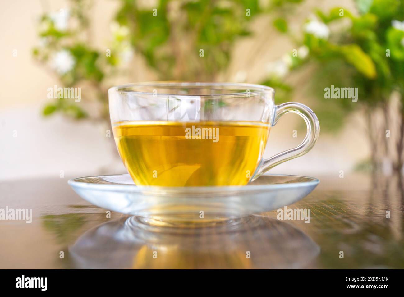 Green Tea in a Glass Tea Cup and Saucer with French Press teapot on ...