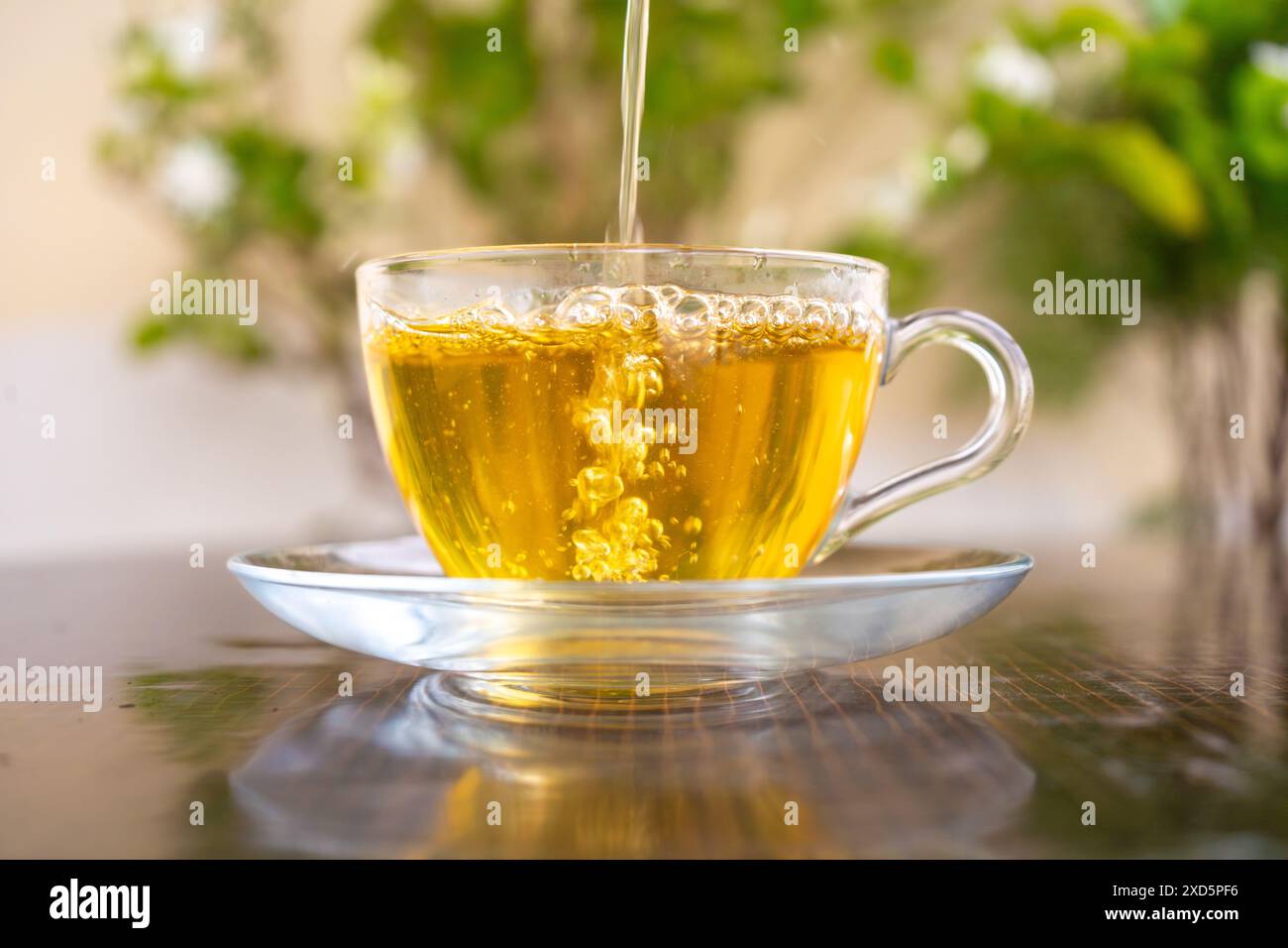 Pouring Organic Green Tea into a transparant glass tea cup in the ...