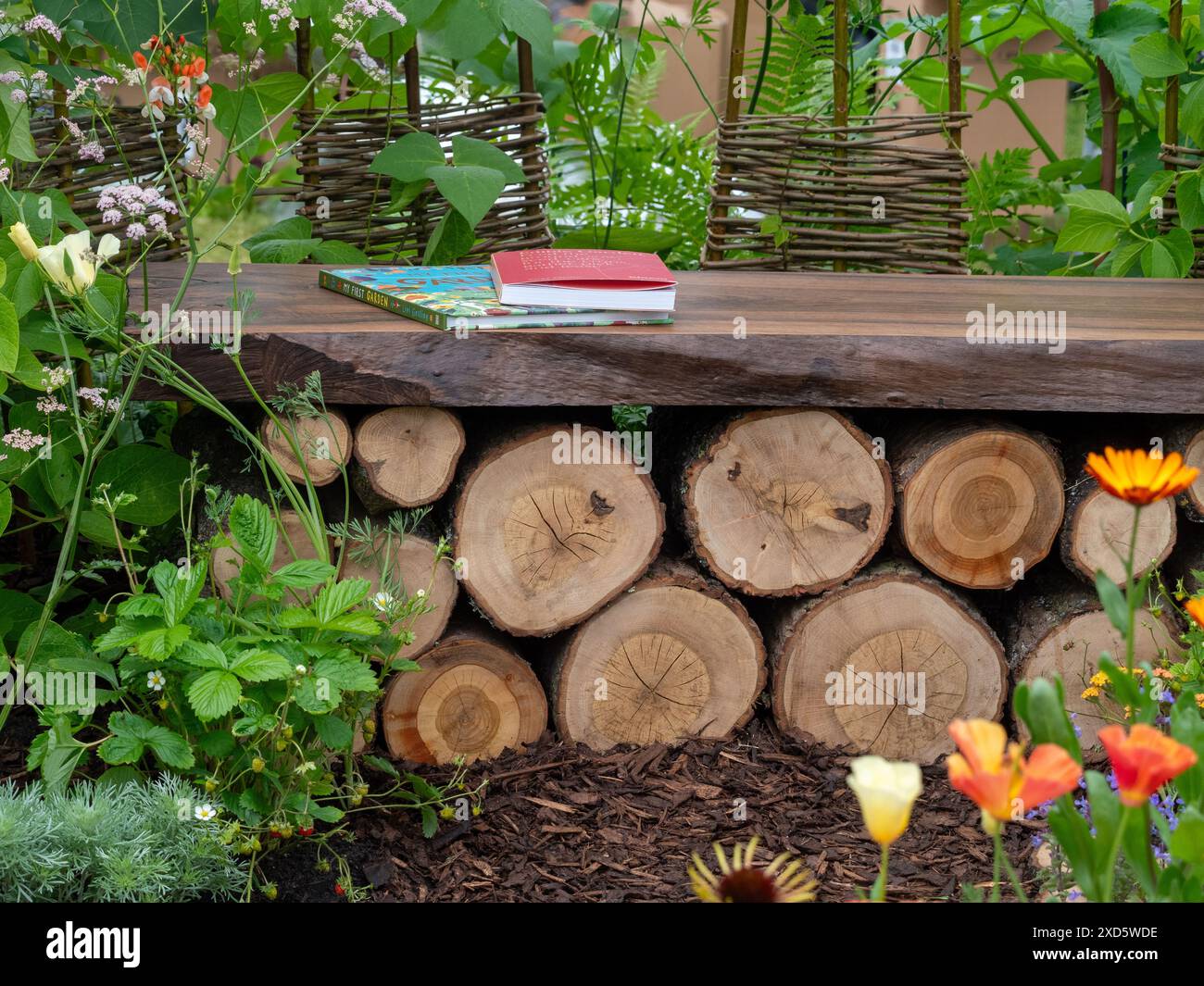 Wooden garden bench made from a thick plank seat resting on sawn logs ...