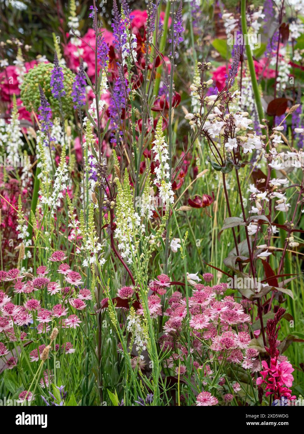 Meadow style garden hi-res stock photography and images - Alamy