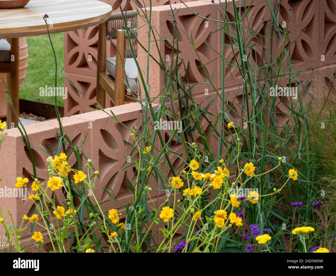 Decorative block wall in a UK garden with soft yellow flowers in the ...