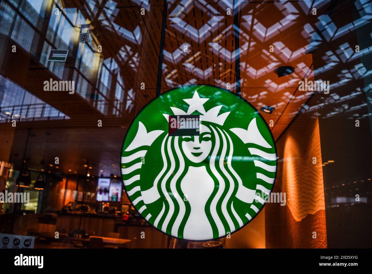 The Hague, Netherlands. 19th June, 2024. A national flag of Palestine ...