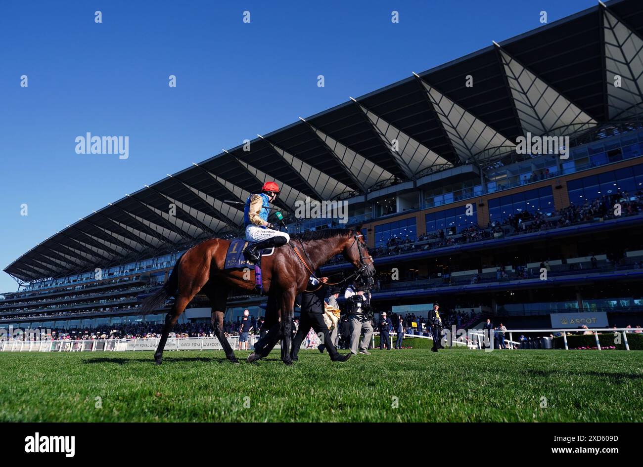 English oak royal ascot hi-res stock photography and images - Alamy