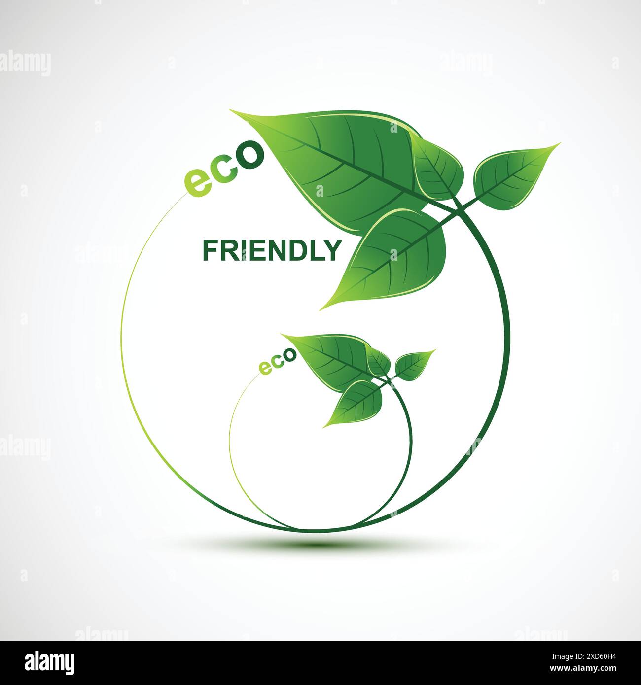 circular natural leaves vector design illustration Stock Vector Image ...