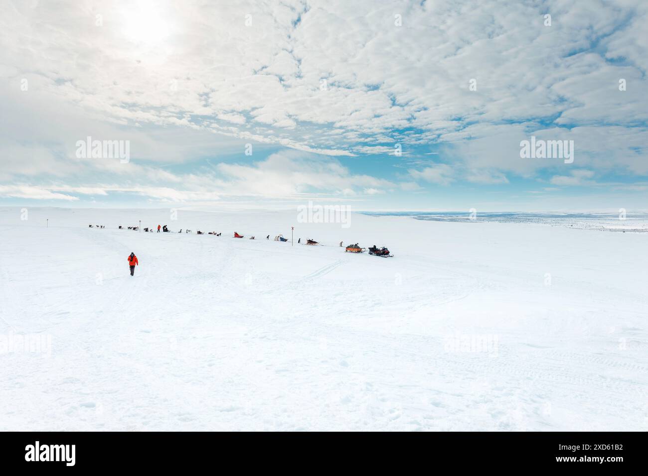 dogs and people sledding mushing in snow, winter landscape, Finland ...