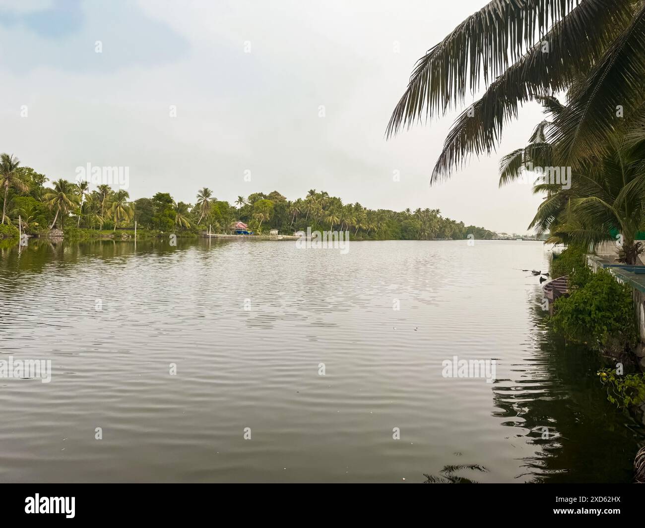 Scenic view of the kochi backwaters in the indian state of Kerala ...
