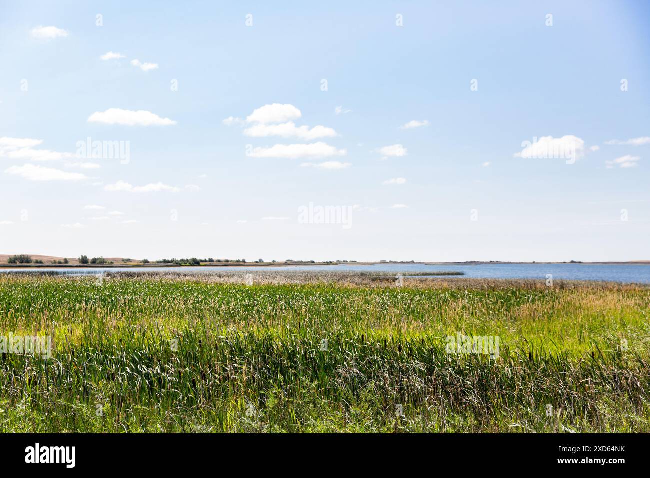Wetland marsh landscapes along a hiking trail around Kinbrook Island ...