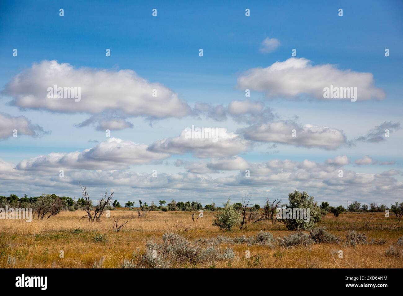 Wetland marsh landscapes along a hiking trail around Kinbrook Island ...