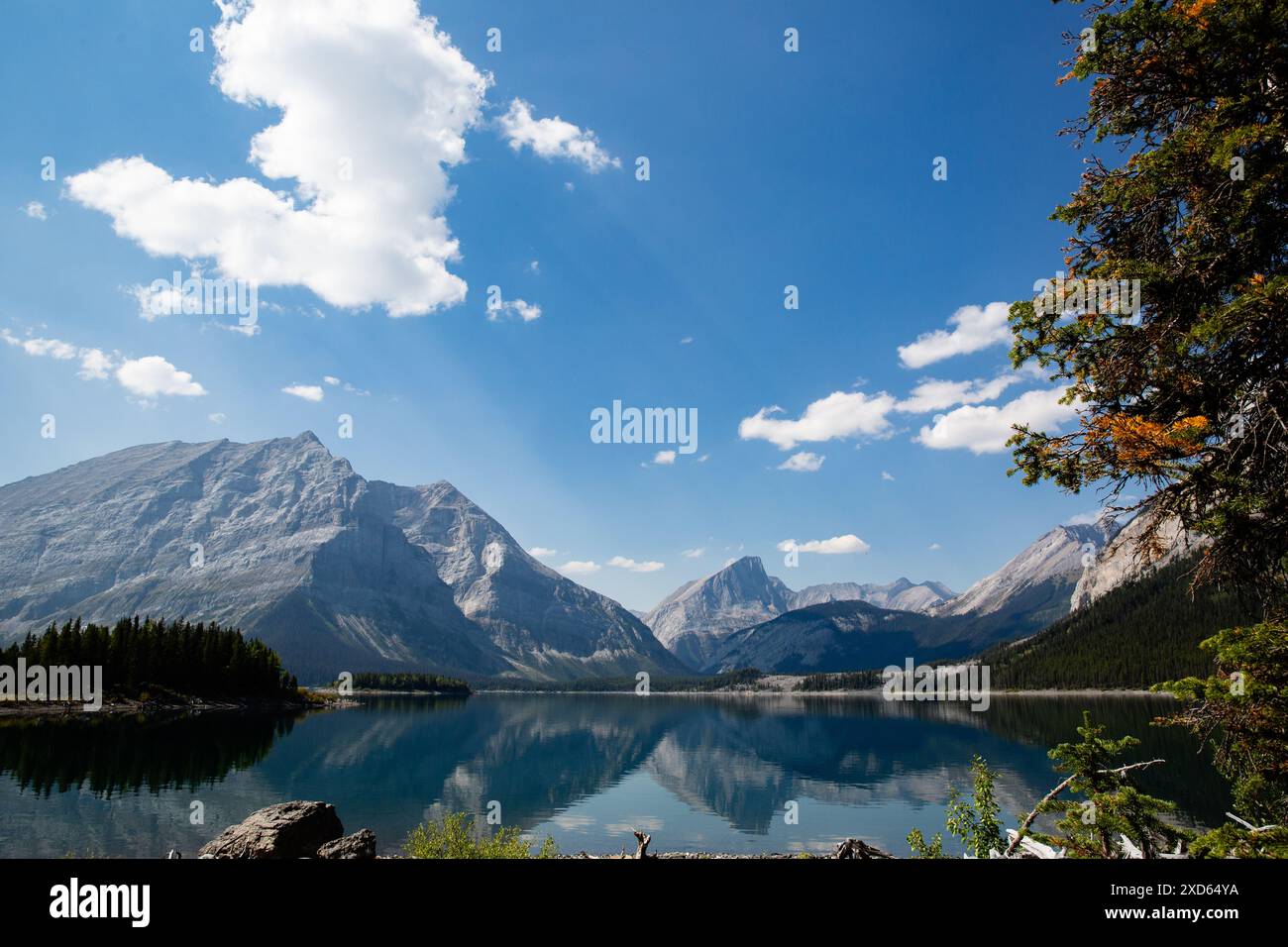A mountain and forest landscape in Kananaskis Country a provincial park ...