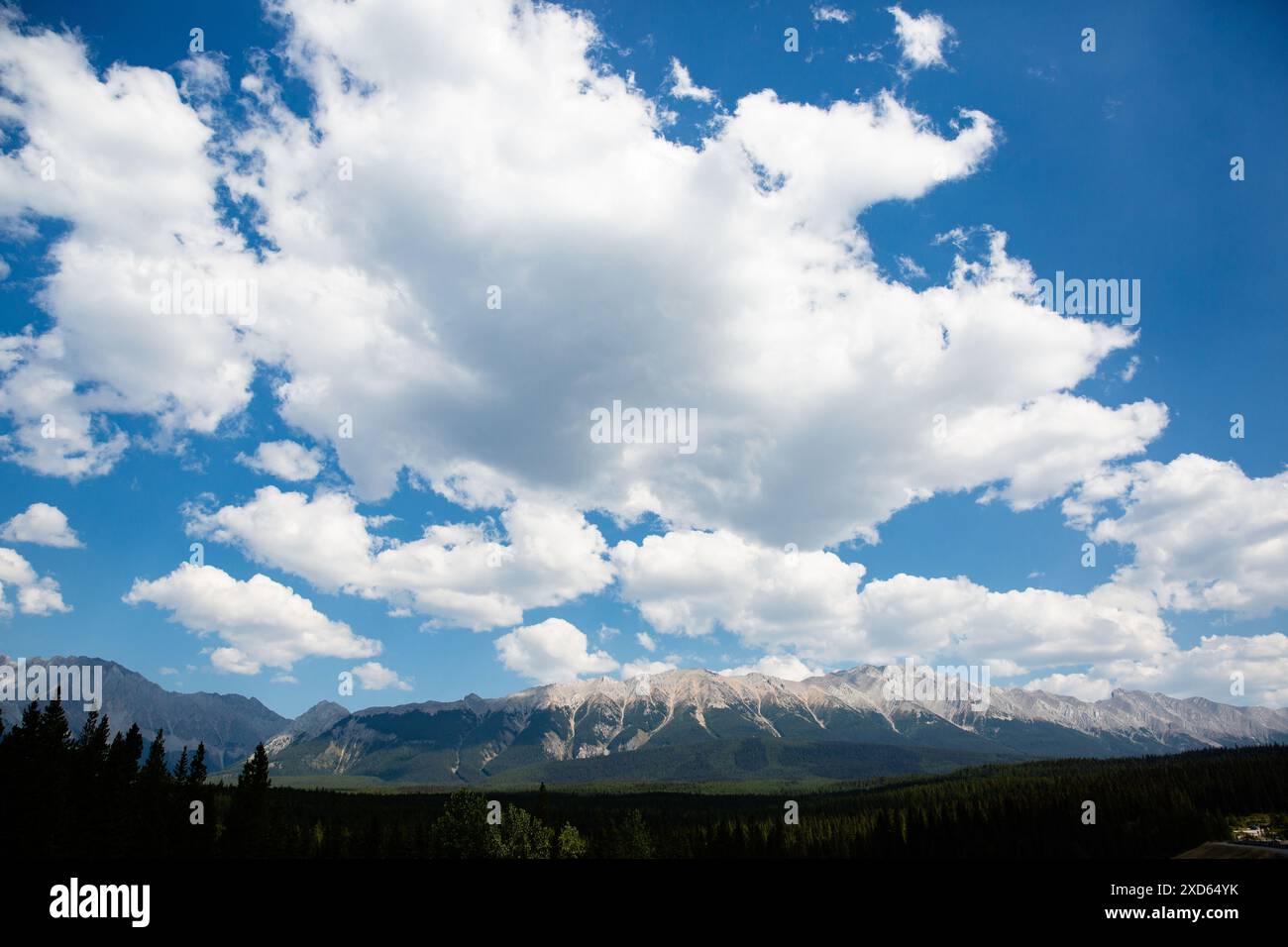 A mountain and forest landscape in Kananaskis Country a provincial park ...