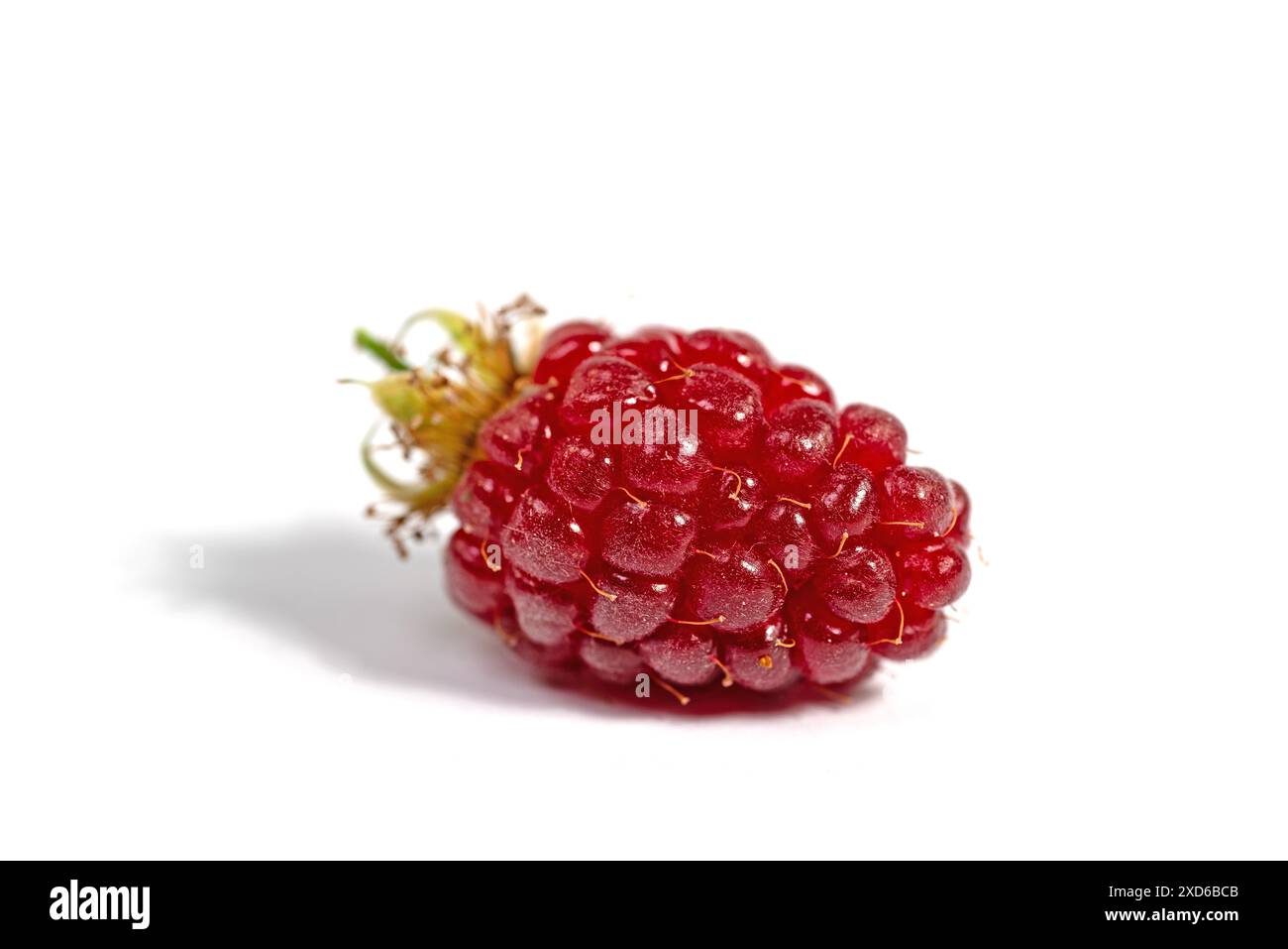 Tayberry fruit Cut Out Stock Images & Pictures - Alamy