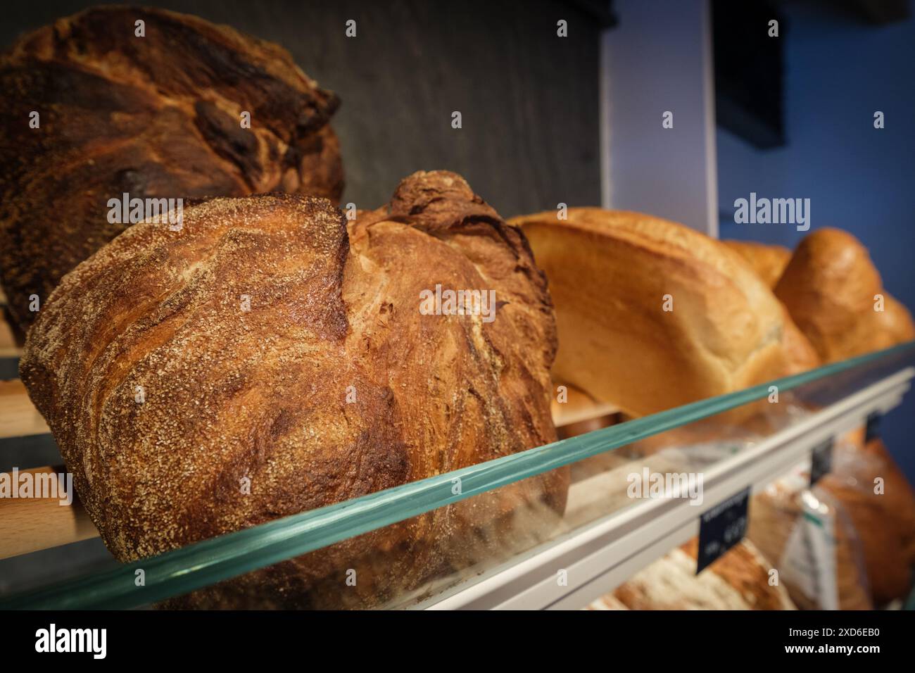 a wide variety of freshly baked breads are on display in a bakery Stock ...