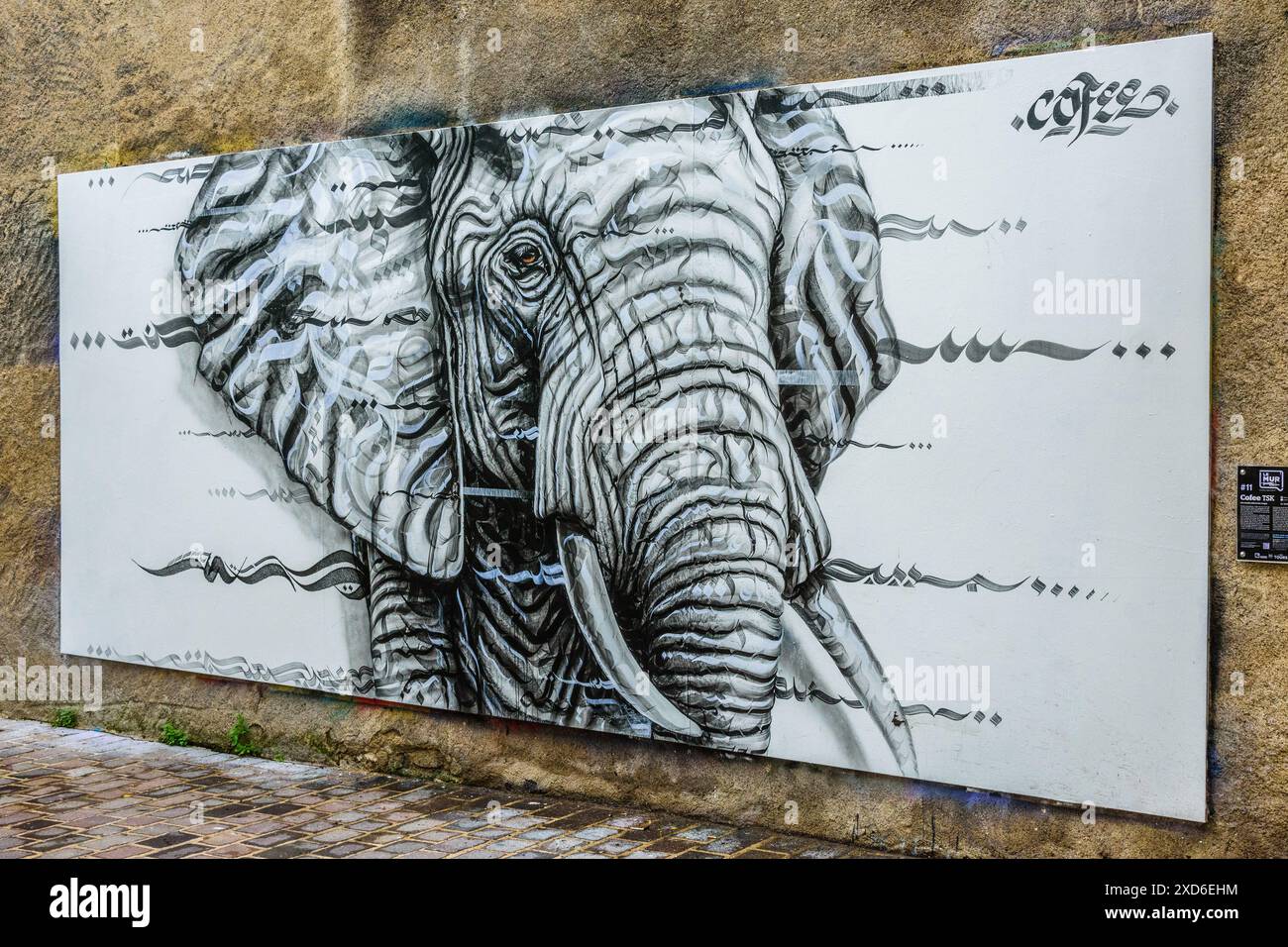 Elephant artwork on wall hi-res stock photography and images - Alamy