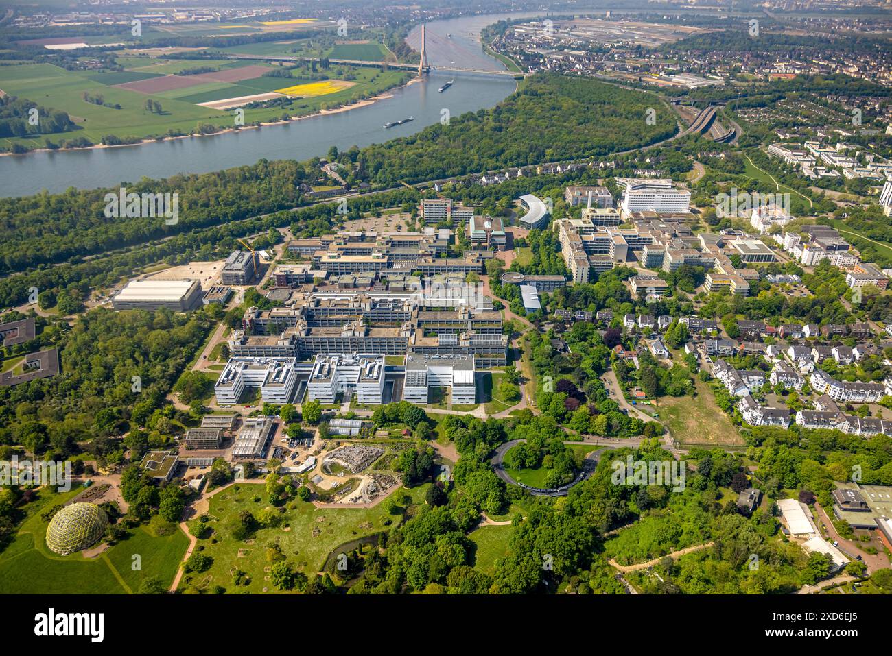 Aerial view, Heinrich Heine University, River Rhine and Fleher Bridge ...