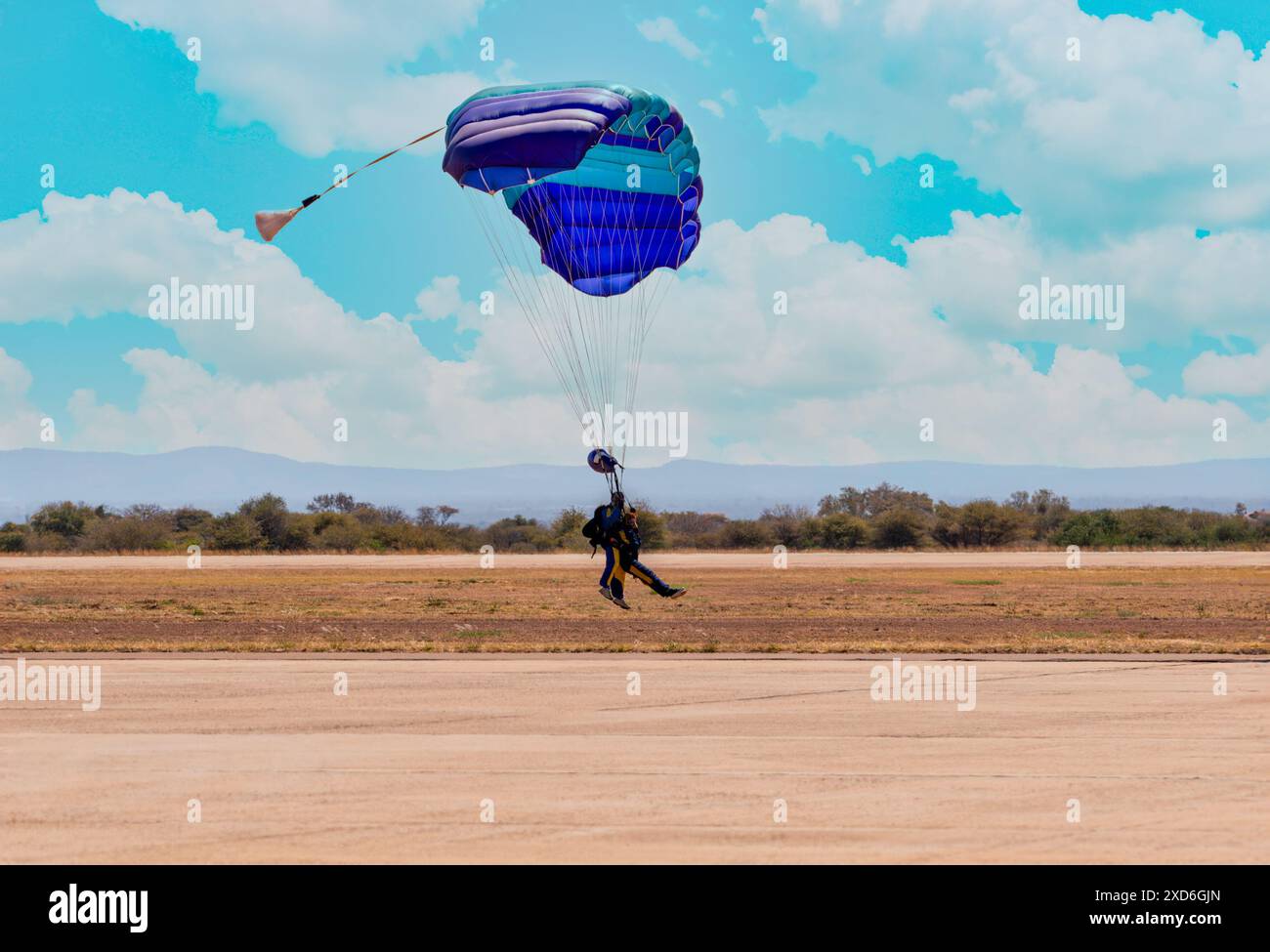 tandem training parachute jump, landing on the airstrip Stock Photo - Alamy