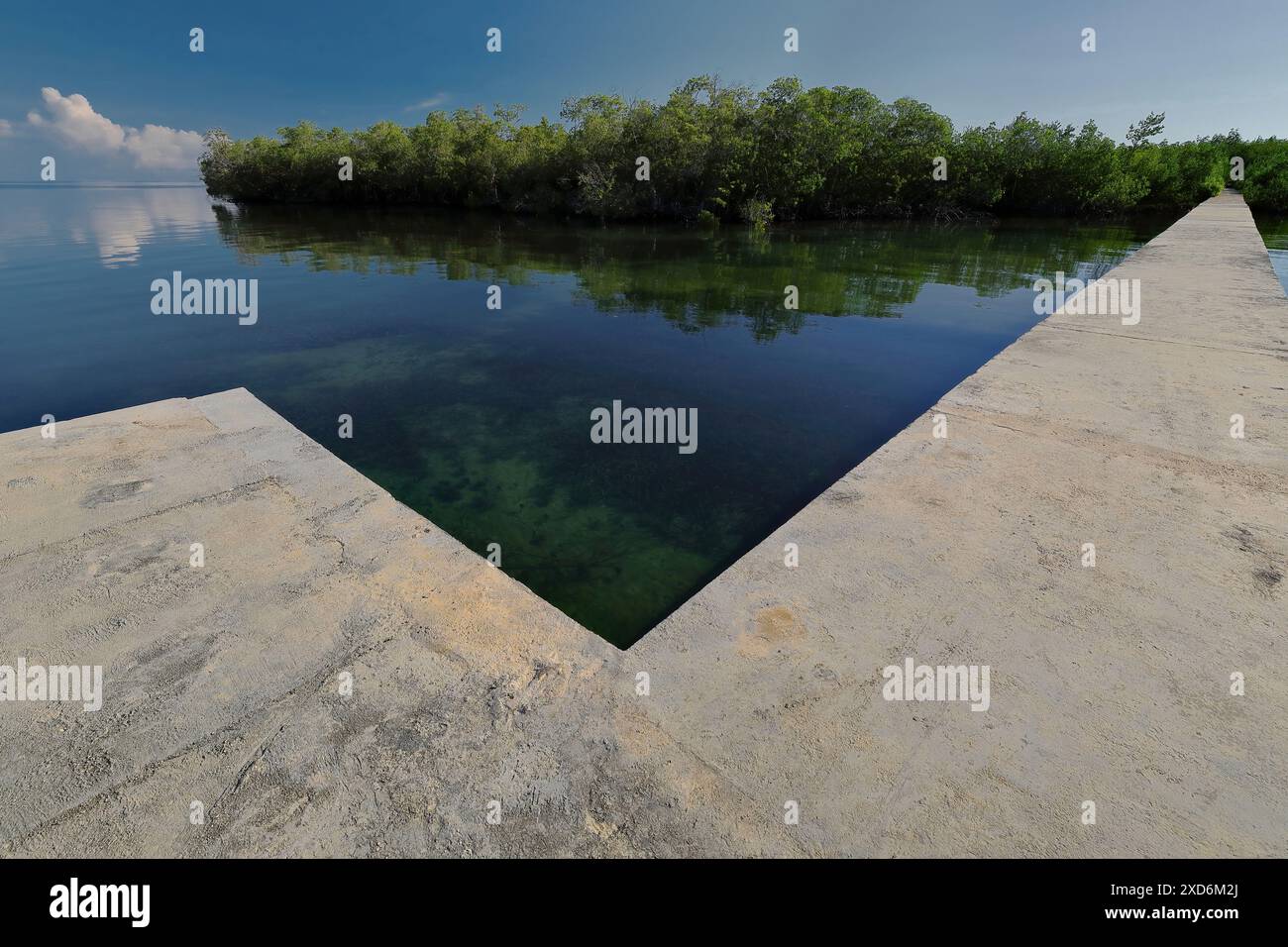 402 Concrete path across the mangrove leading to the spot where the ...
