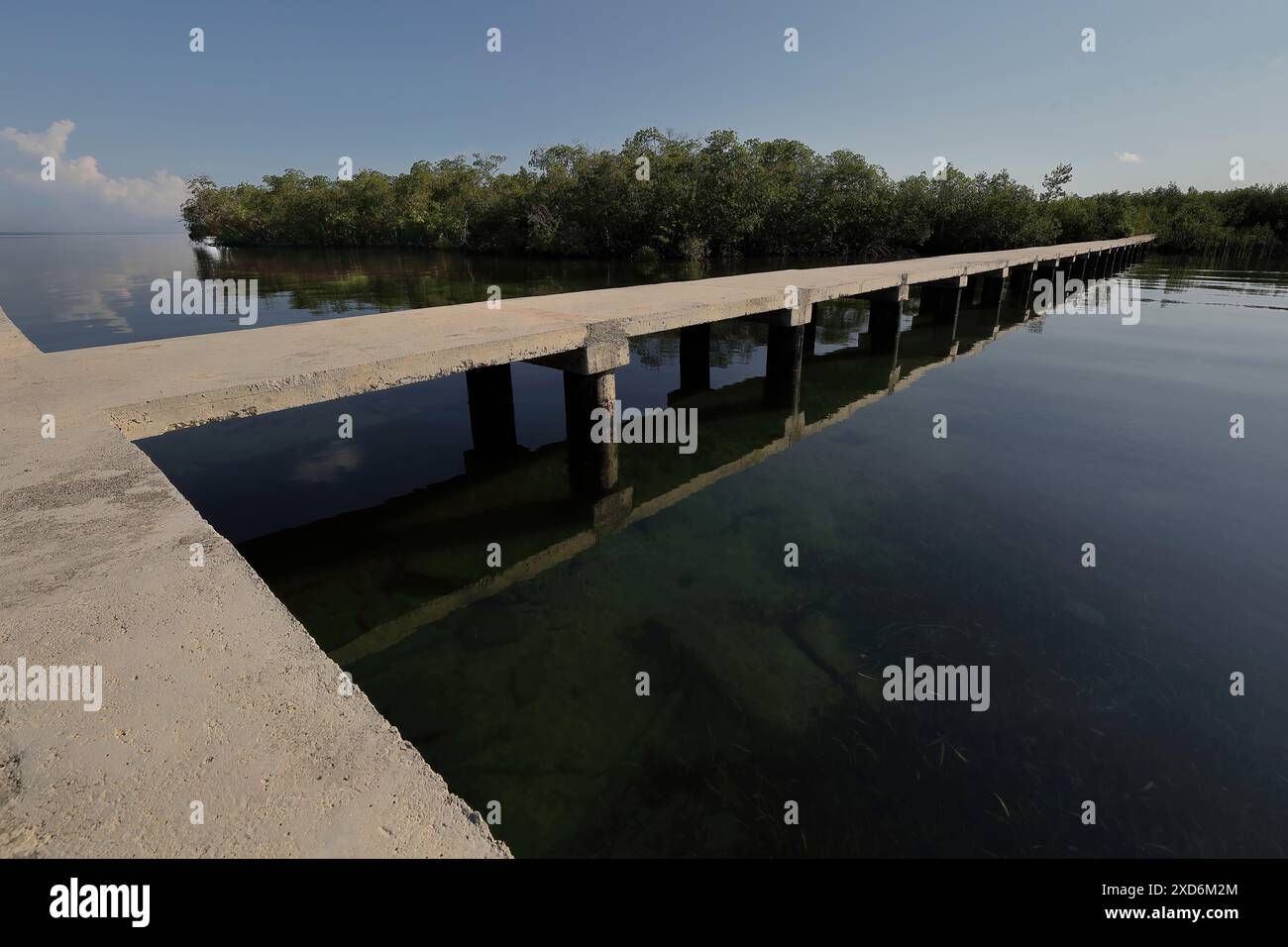 403 Concrete path across the mangrove leading to the spot where the ...