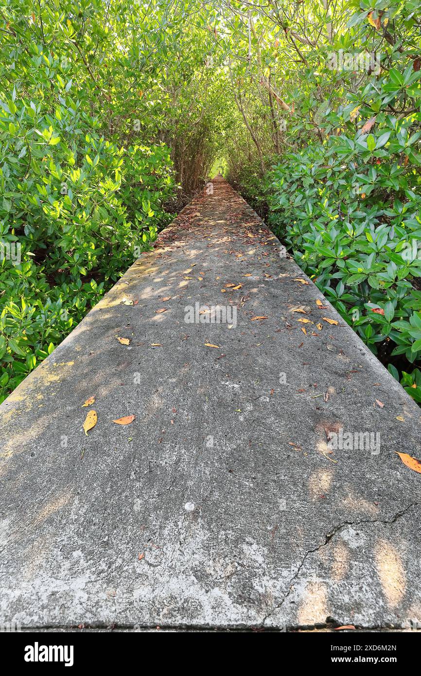 National las coloradas village hi-res stock photography and images - Alamy