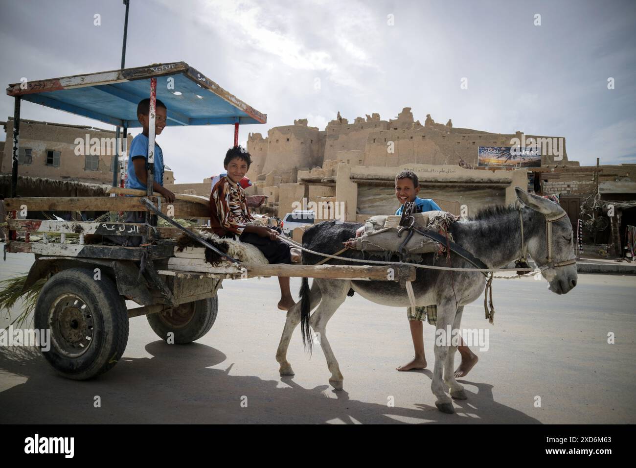 Three children drive a donkey cart ahead of the Shali Fortress in Siwa ...