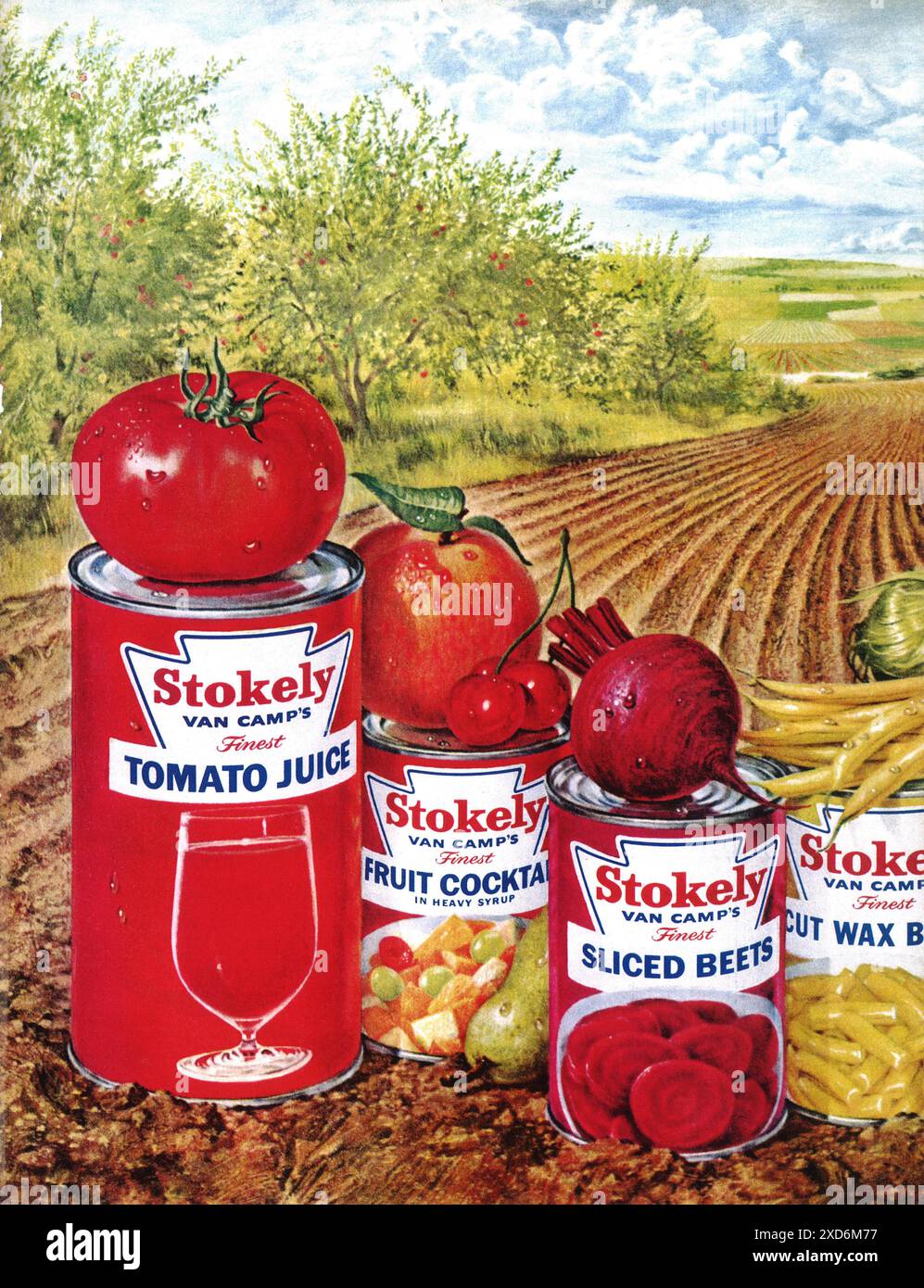 1965 Stokely canned foods- tomato juice, sliced beefs, fruit cocktail ...