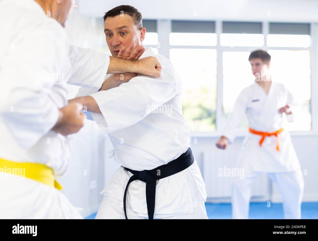 Karate sparring between men. Mature athlete throwing punches Stock ...