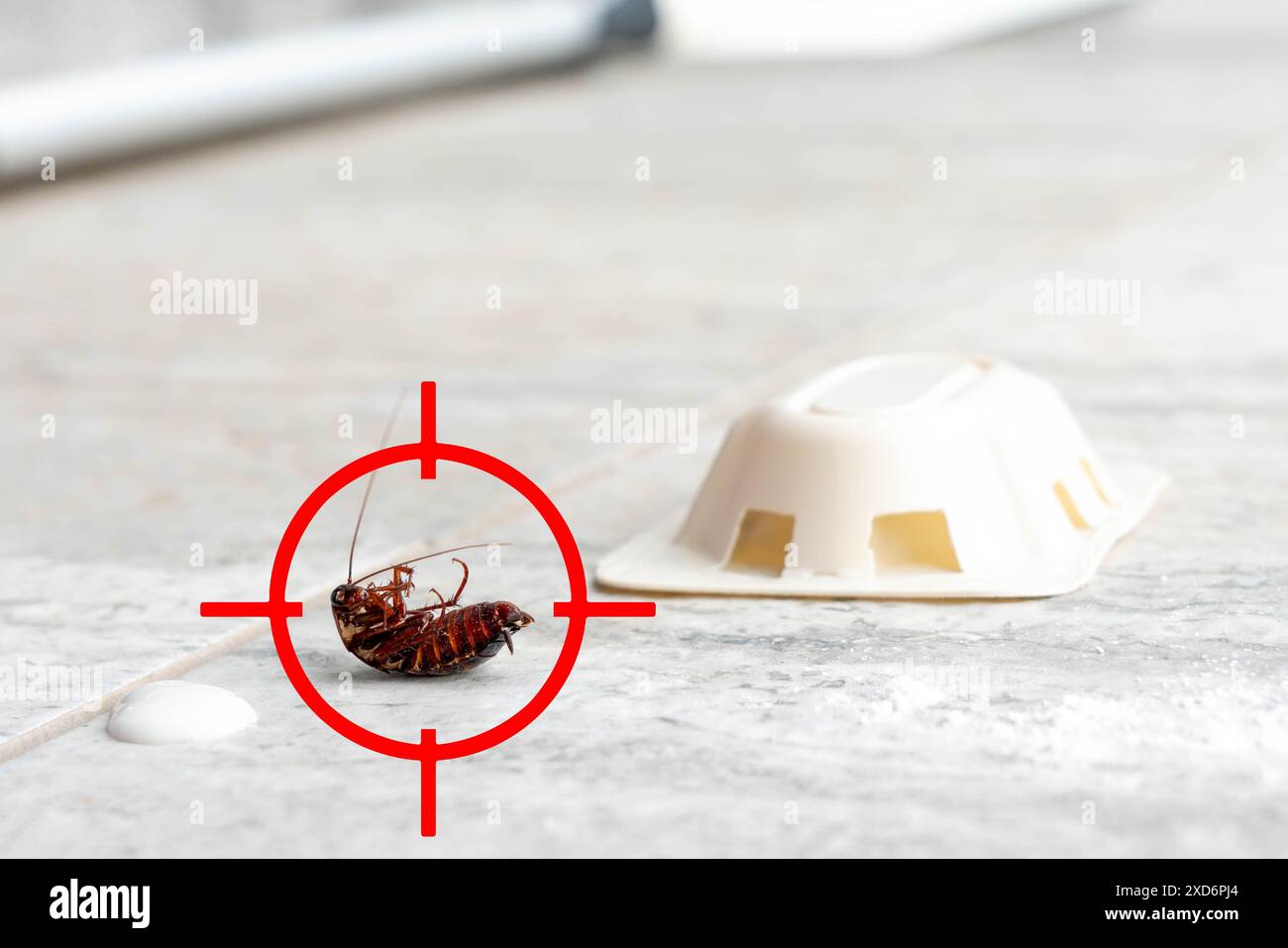Red gun target aiming on dead cockroach upside down on the floor. Pest ...